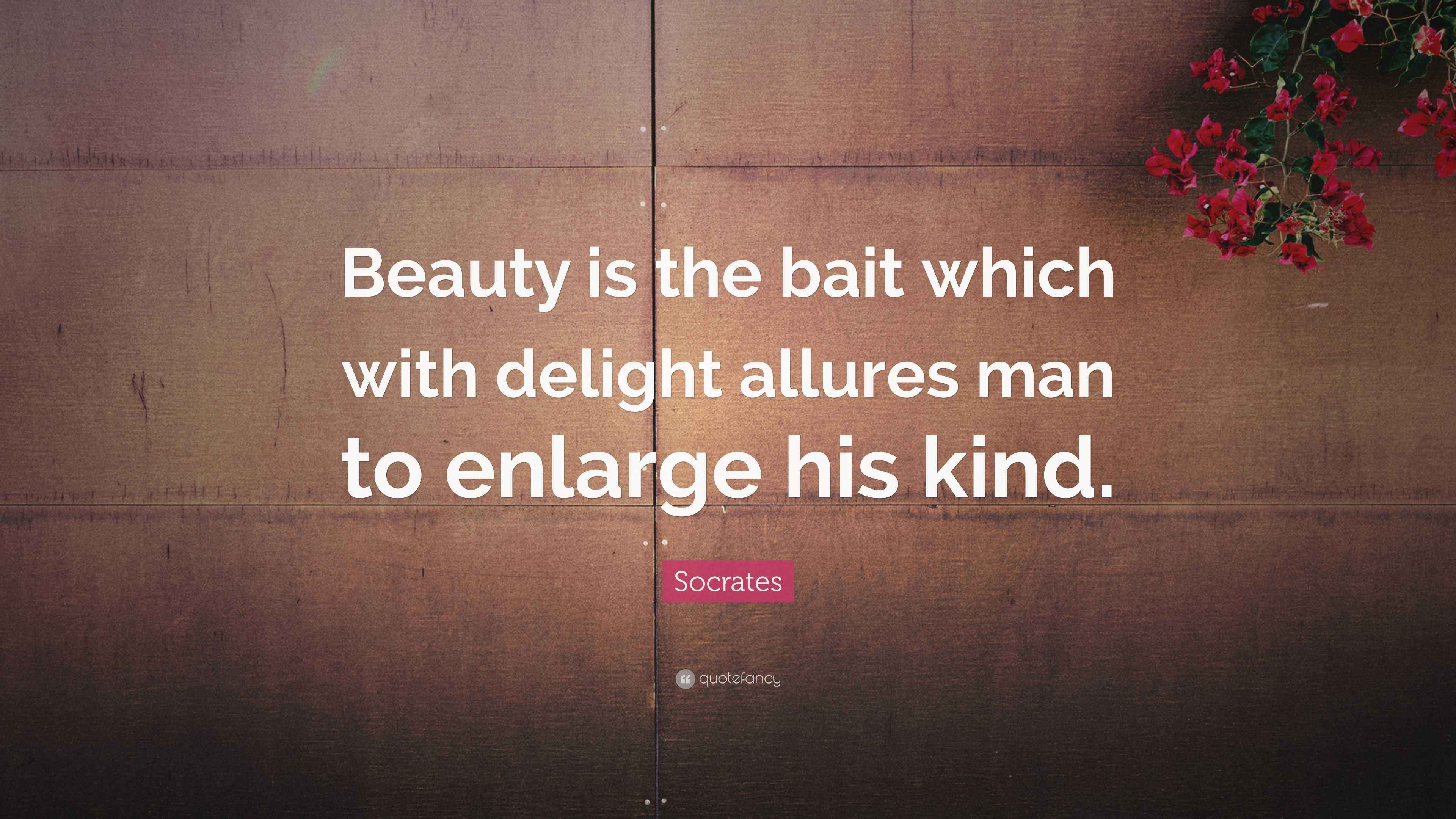 Socrates Quote: “Beauty is the bait which with delight allures man to ...