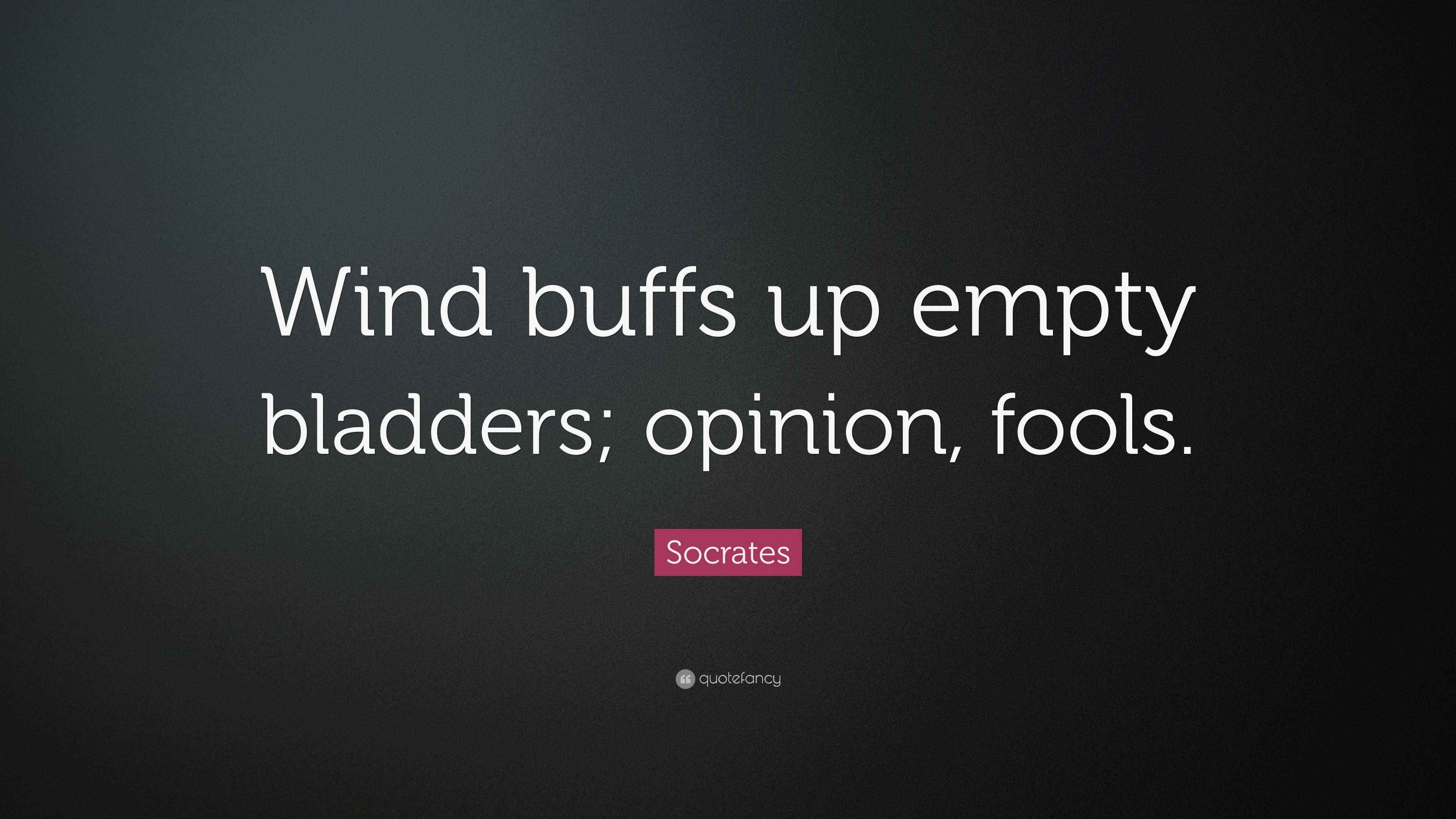 Socrates Quote: “Wind buffs up empty bladders; opinion, fools.”