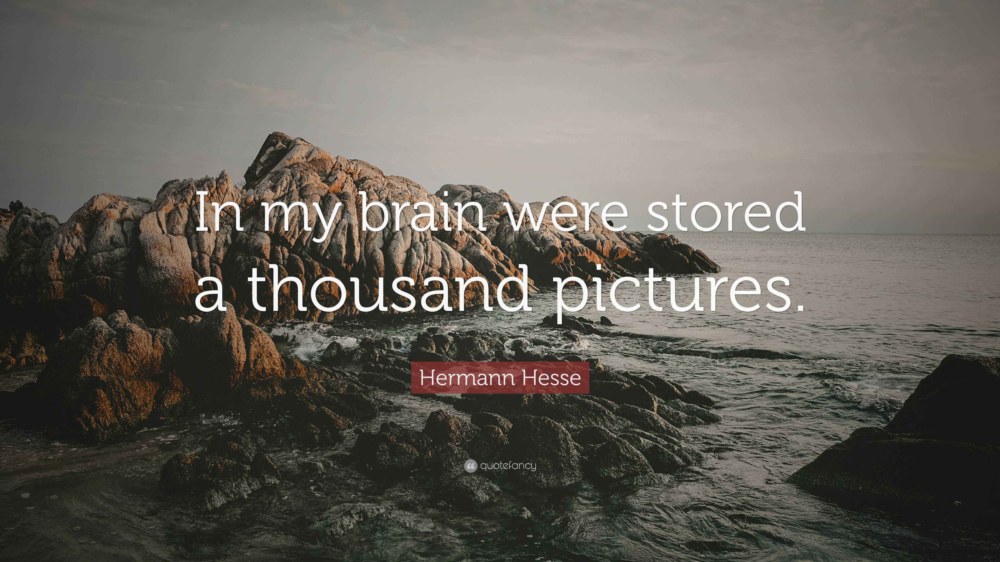 Hermann Hesse Quote: “In my brain were stored a thousand pictures.”