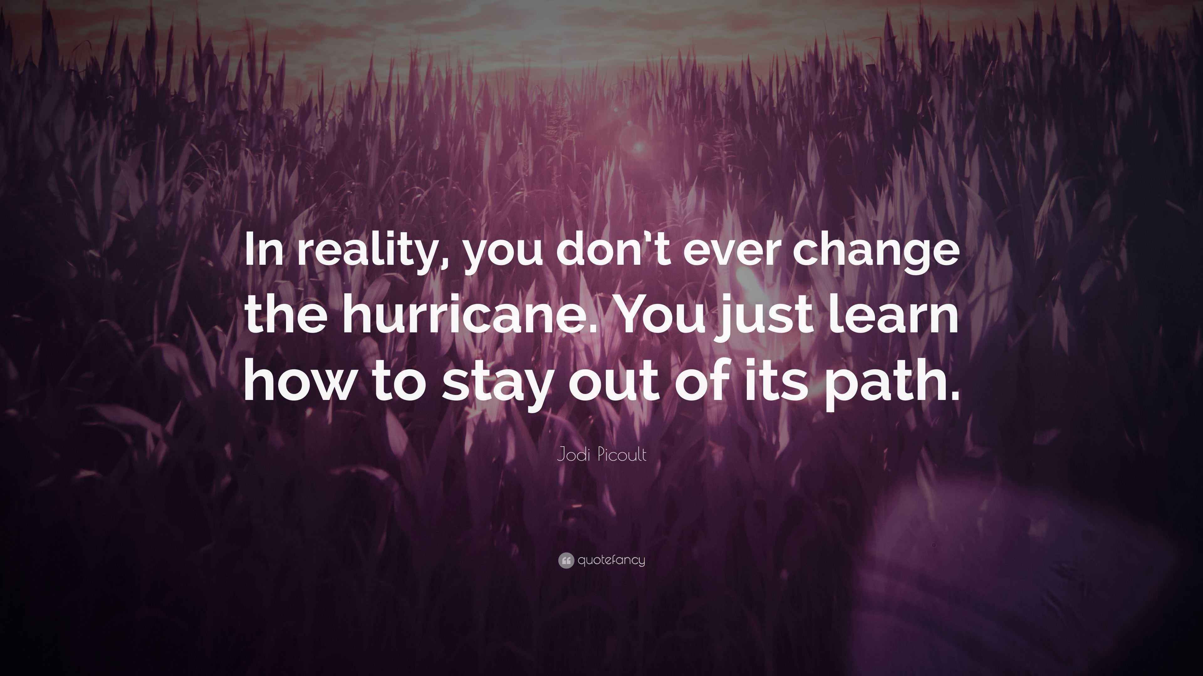 Jodi Picoult Quote: “In reality, you don’t ever change the hurricane ...