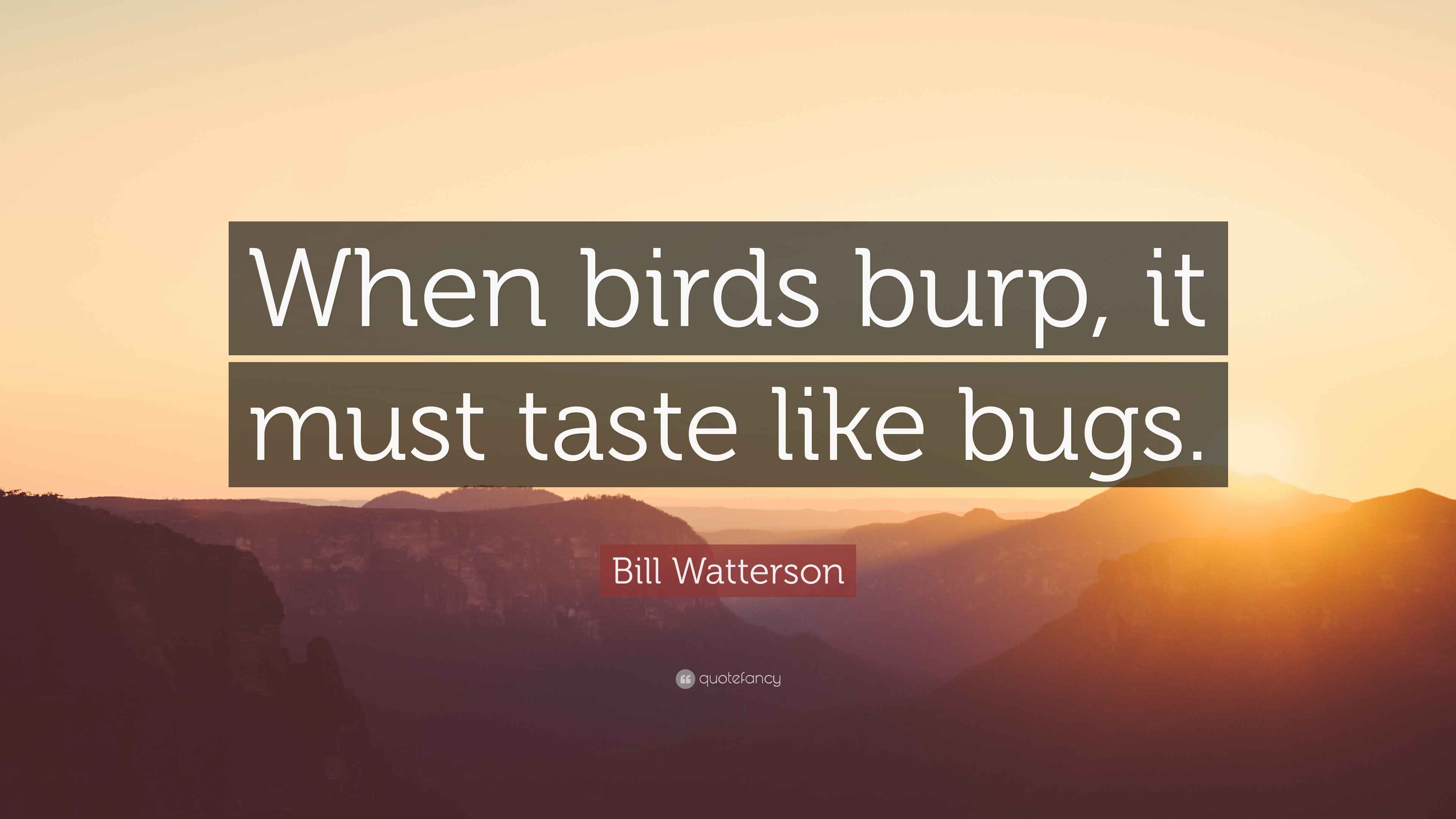 Bill Watterson Quote: “When birds burp, it must taste like bugs.”