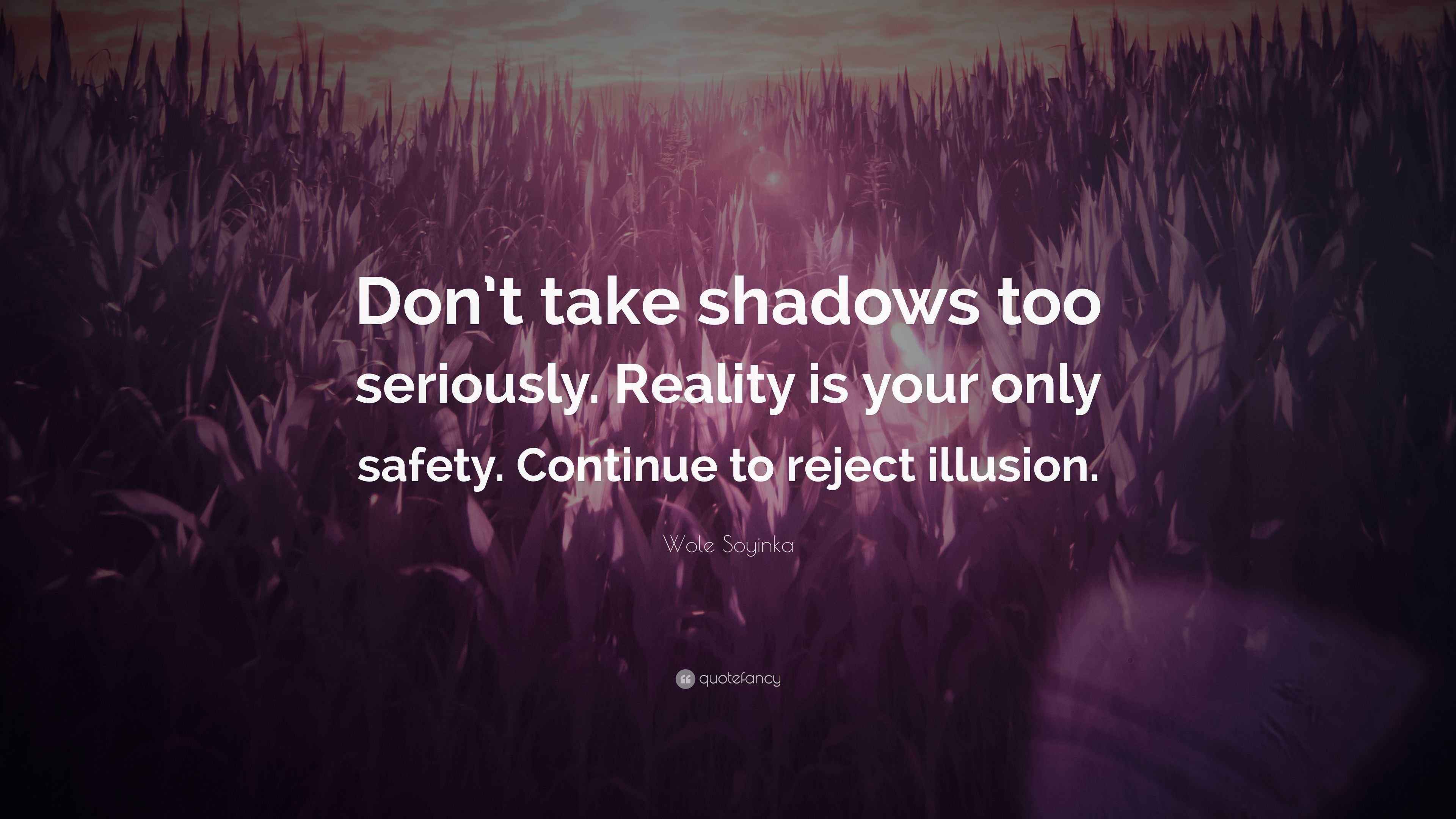 Wole Soyinka Quote: “Don’t take shadows too seriously. Reality is your ...