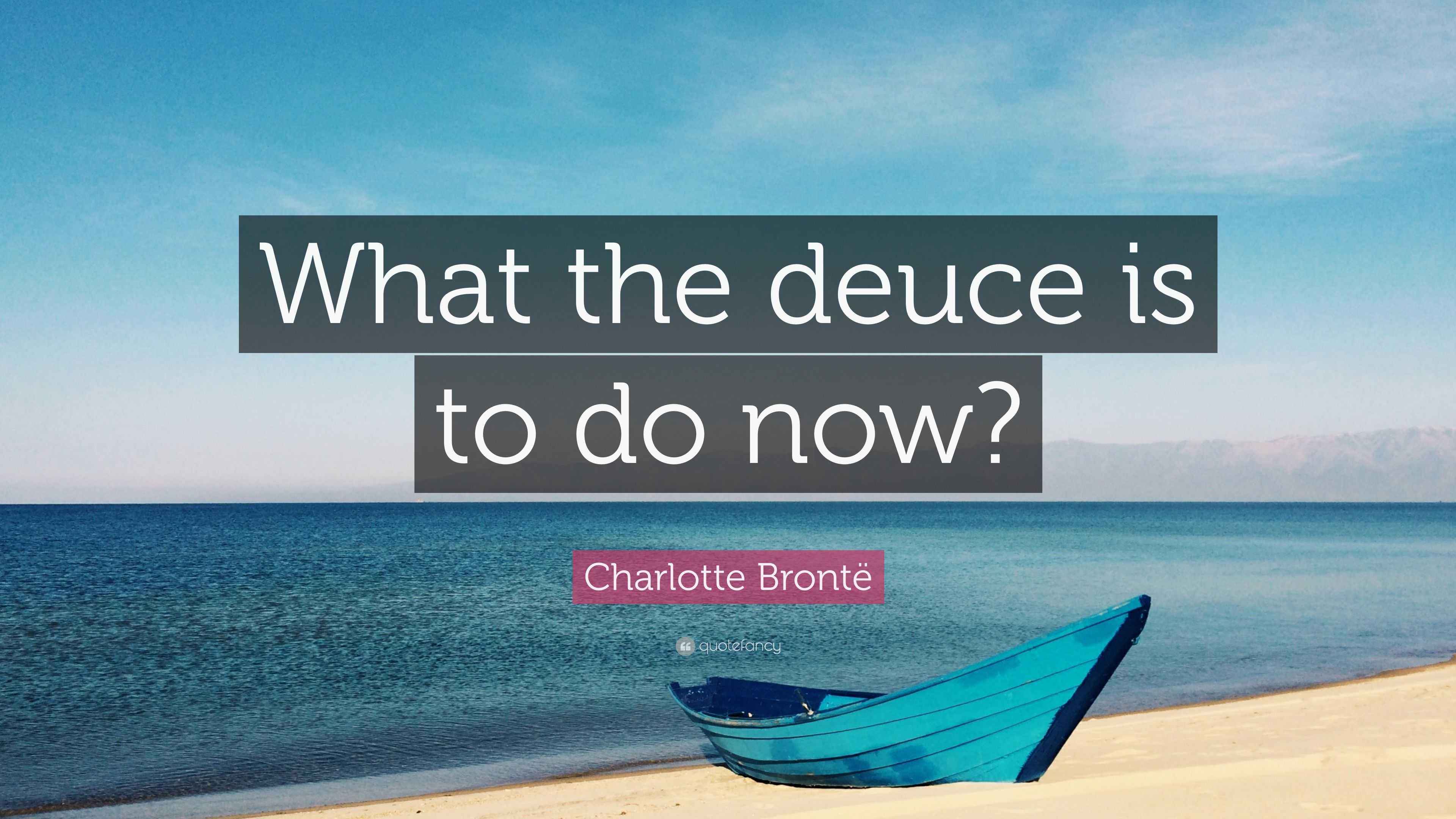 Charlotte Brontë Quote: “What the deuce is to do now?”