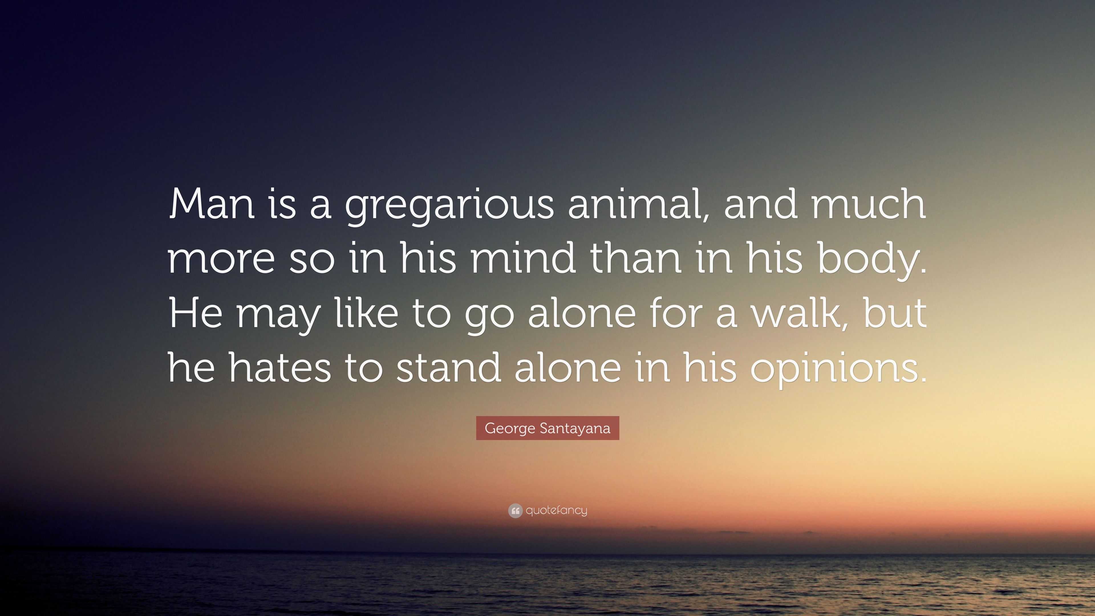 George Santayana Quote: “Man is a gregarious animal, and much more so ...