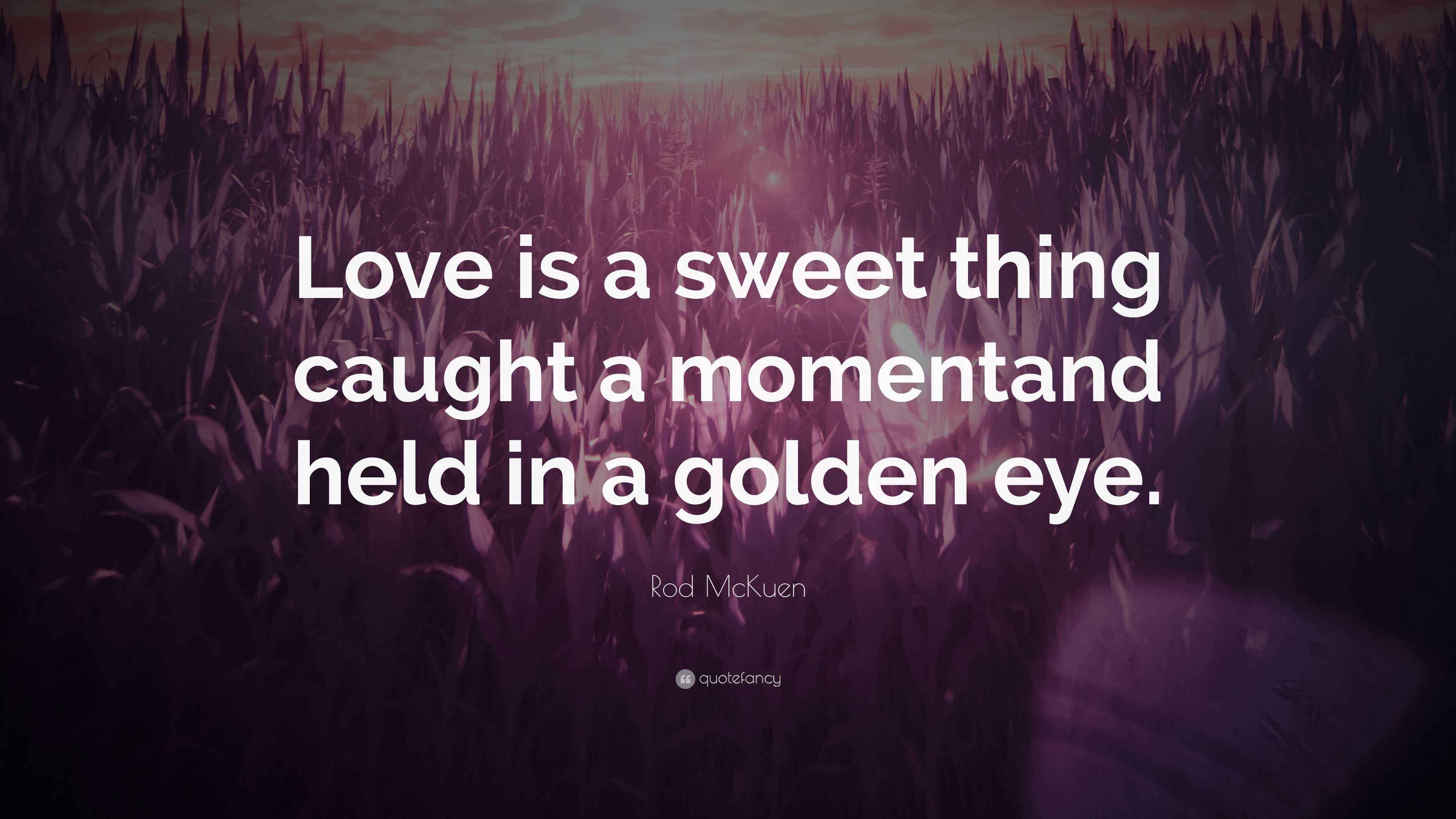 Rod McKuen Quote: “Love is a sweet thing caught a momentand held in a ...