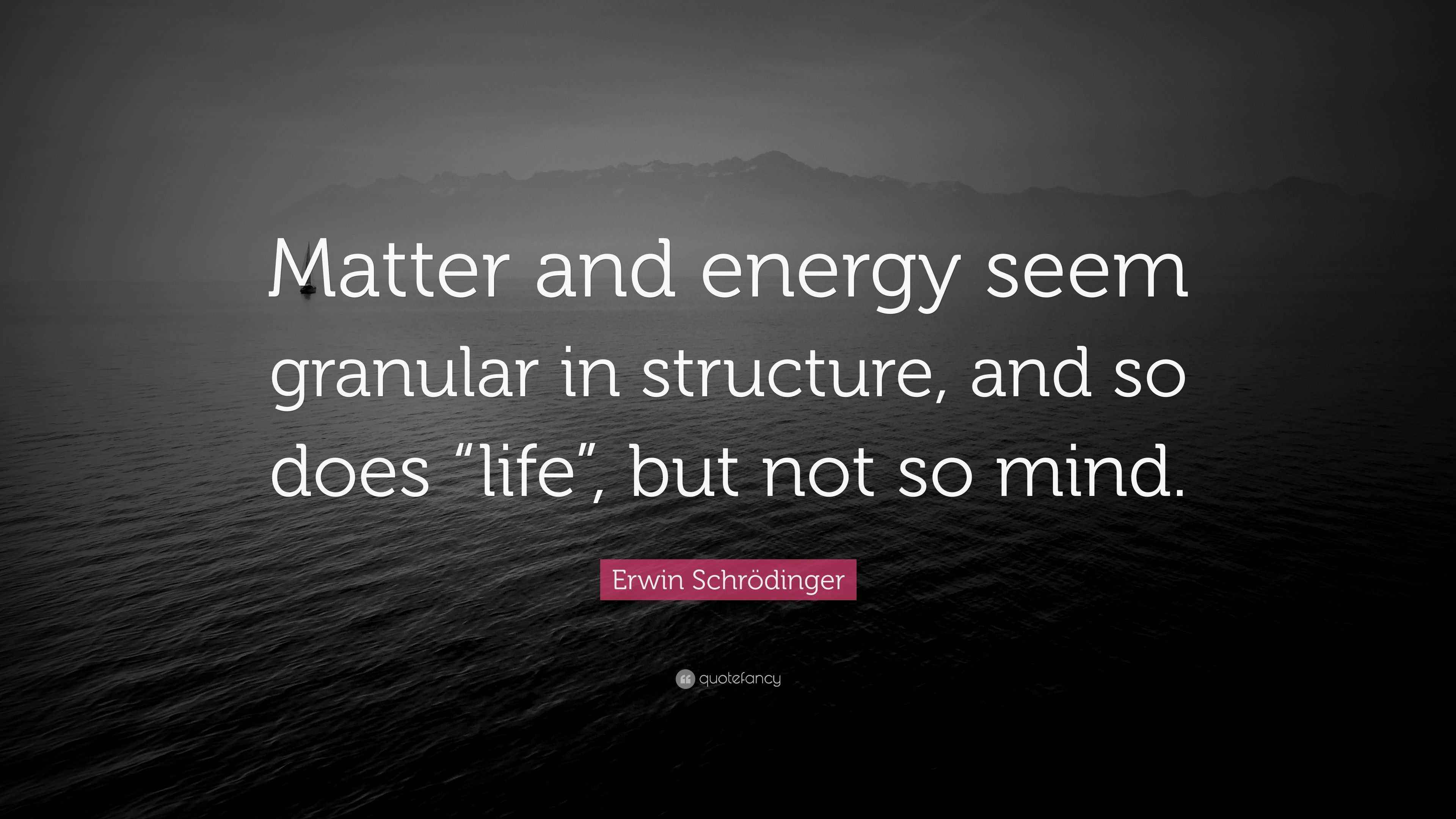 Erwin Schrödinger Quote: “Matter and energy seem granular in structure ...