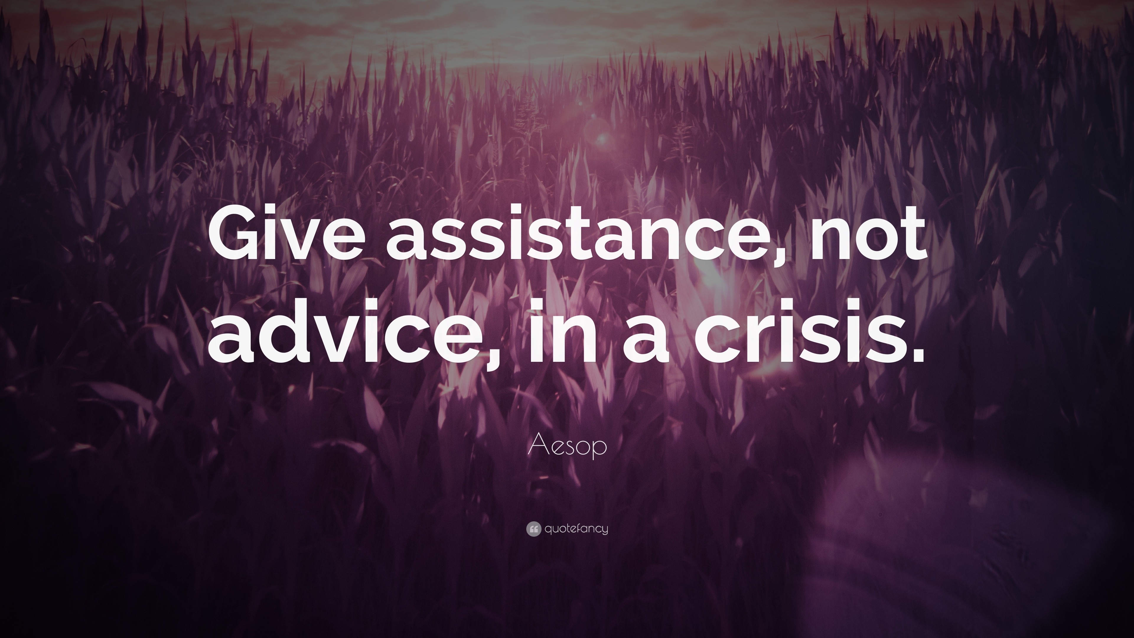 Aesop Quote: “Give assistance, not advice, in a crisis.”