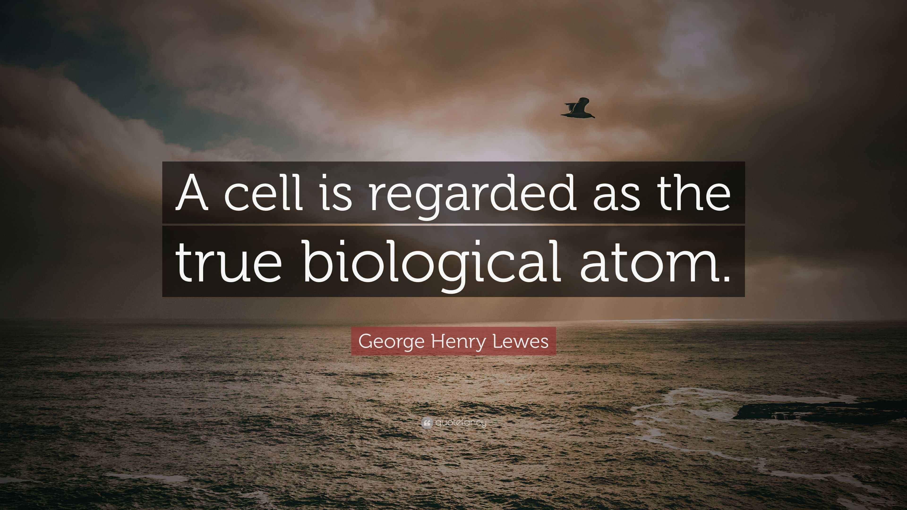George Henry Lewes Quote: “A cell is regarded as the true biological atom.”