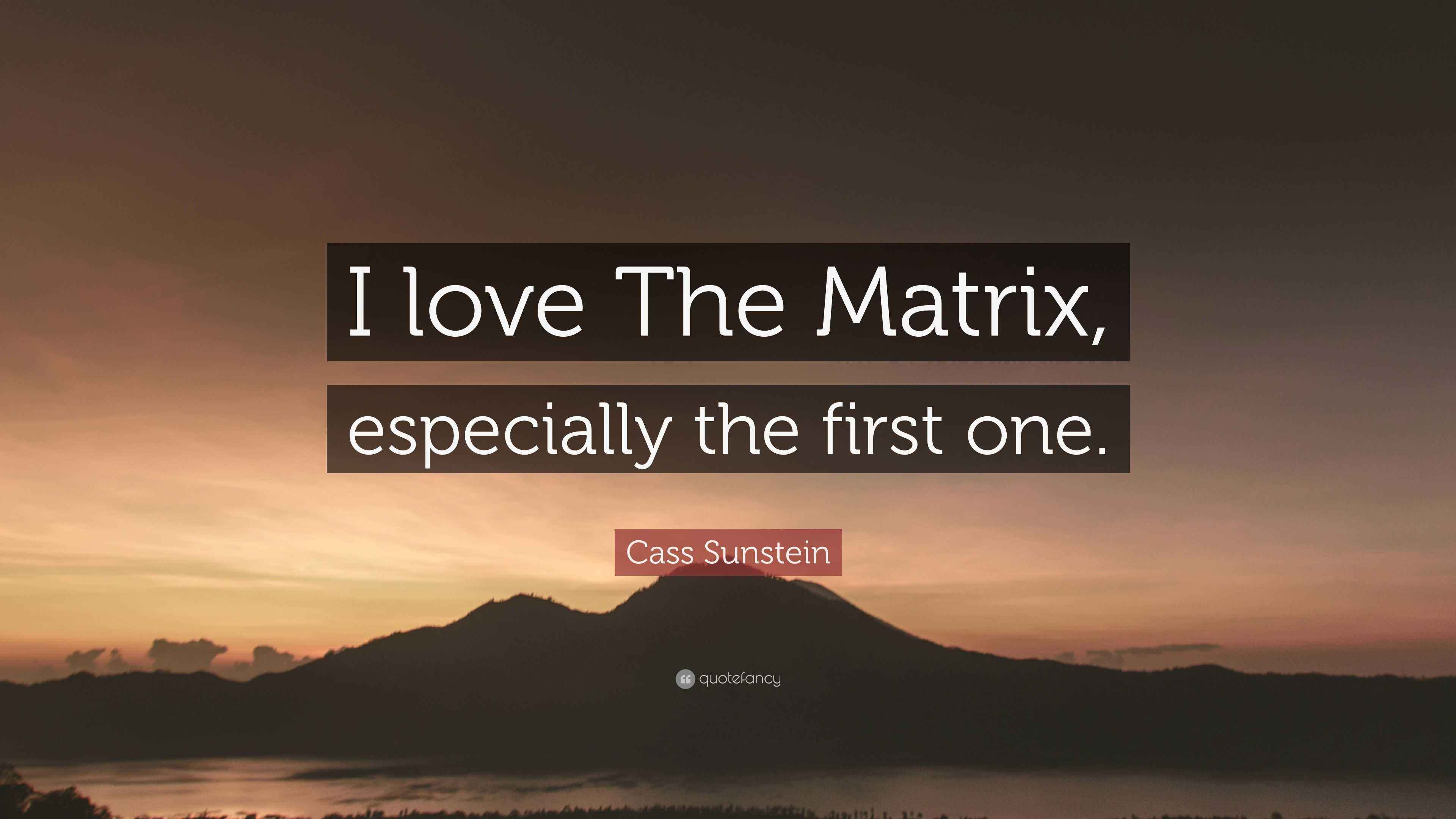 Cass Sunstein Quote: “I love The Matrix, especially the first one.”