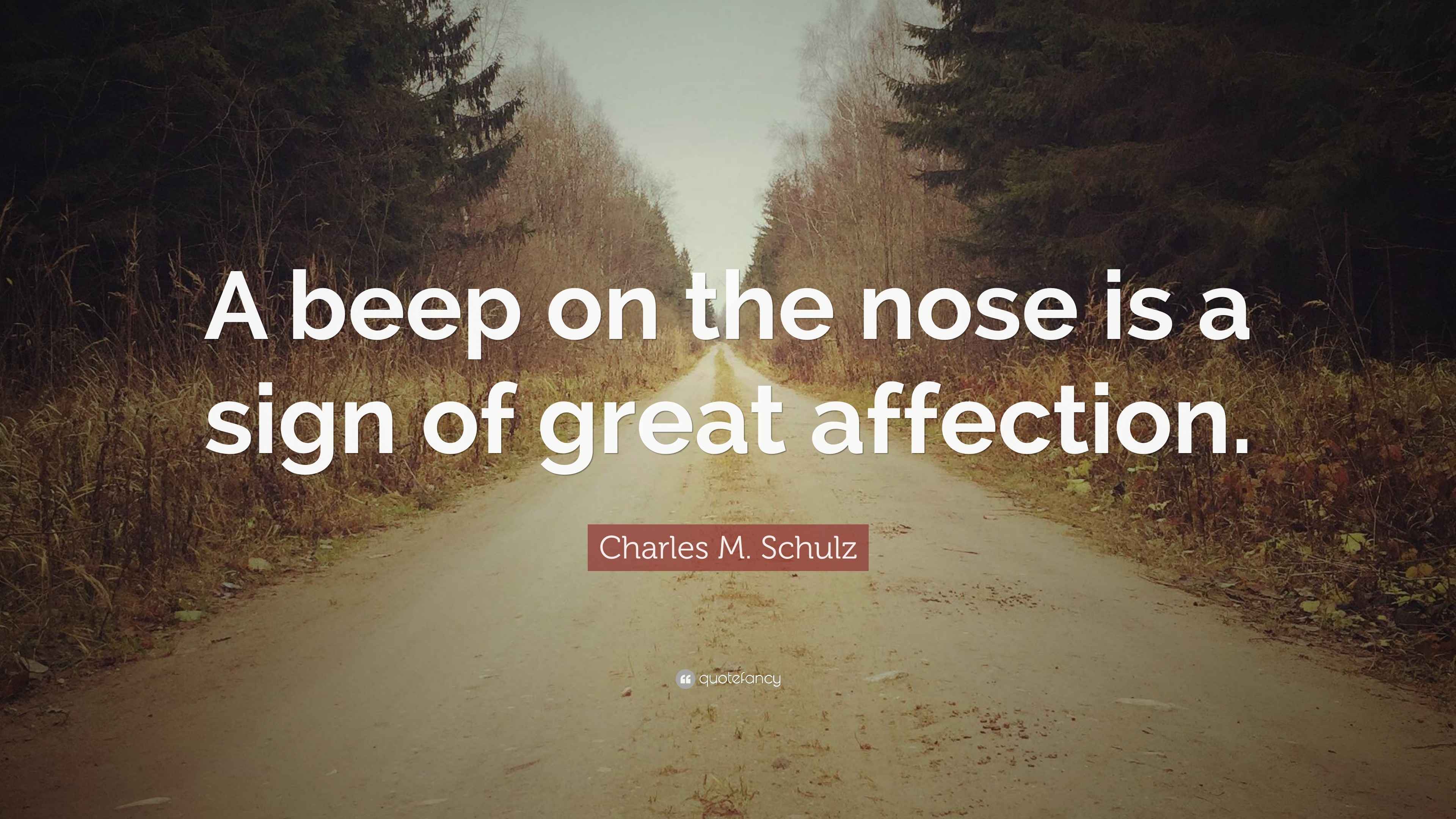 Charles M. Schulz Quote: “A beep on the nose is a sign of great affection.”