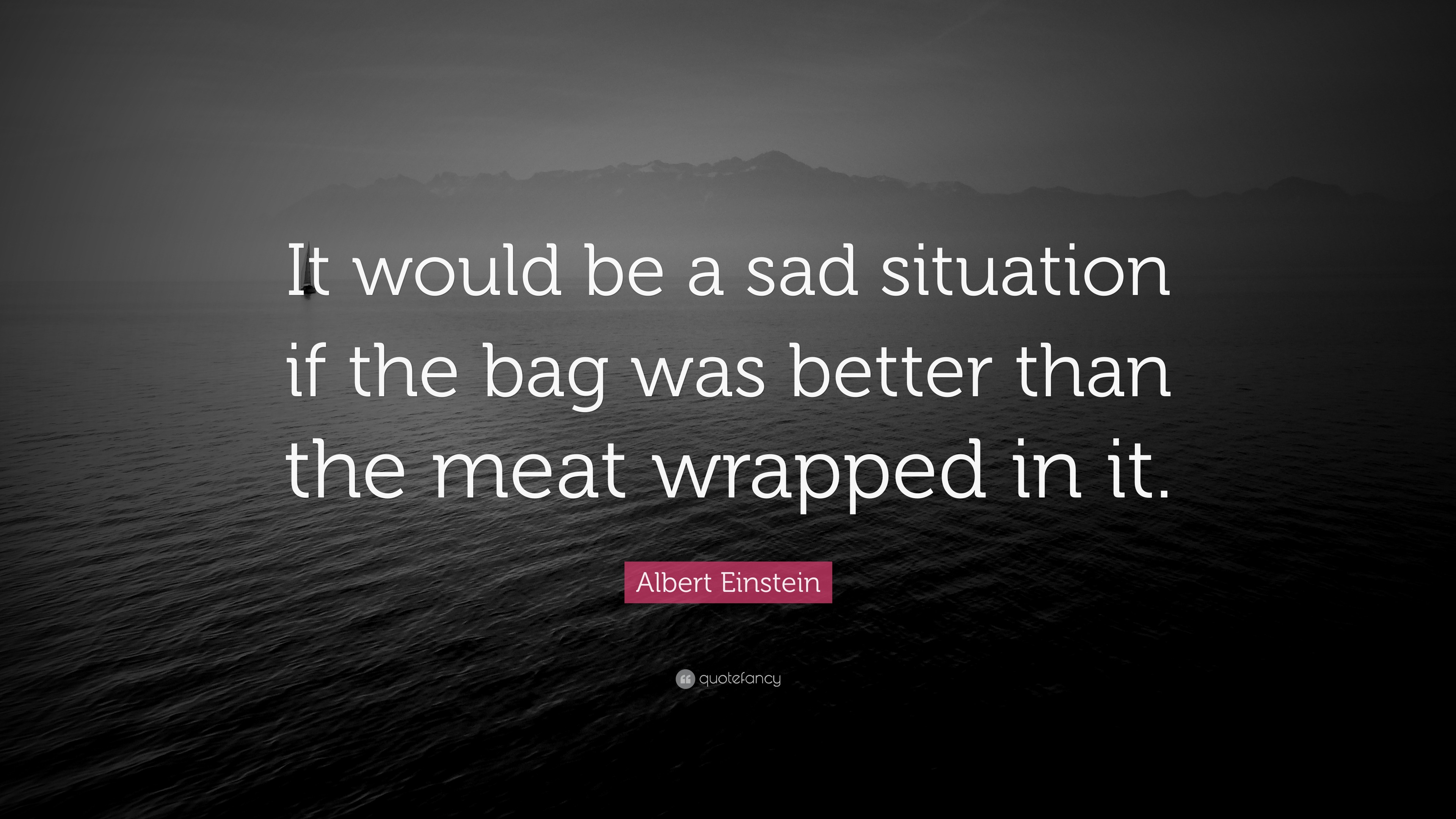 Albert Einstein Quote: “It would be a sad situation if the bag was ...