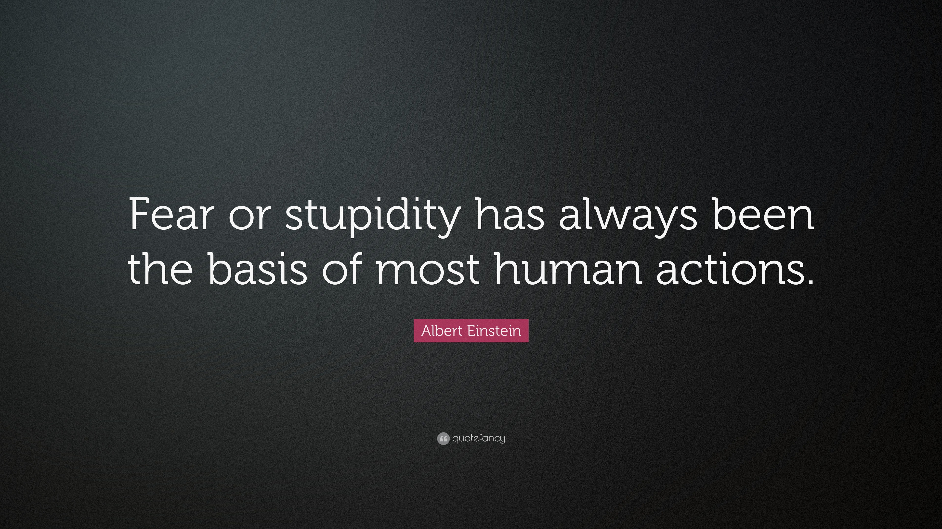 Albert Einstein Quote: “Fear or stupidity has always been the basis of ...