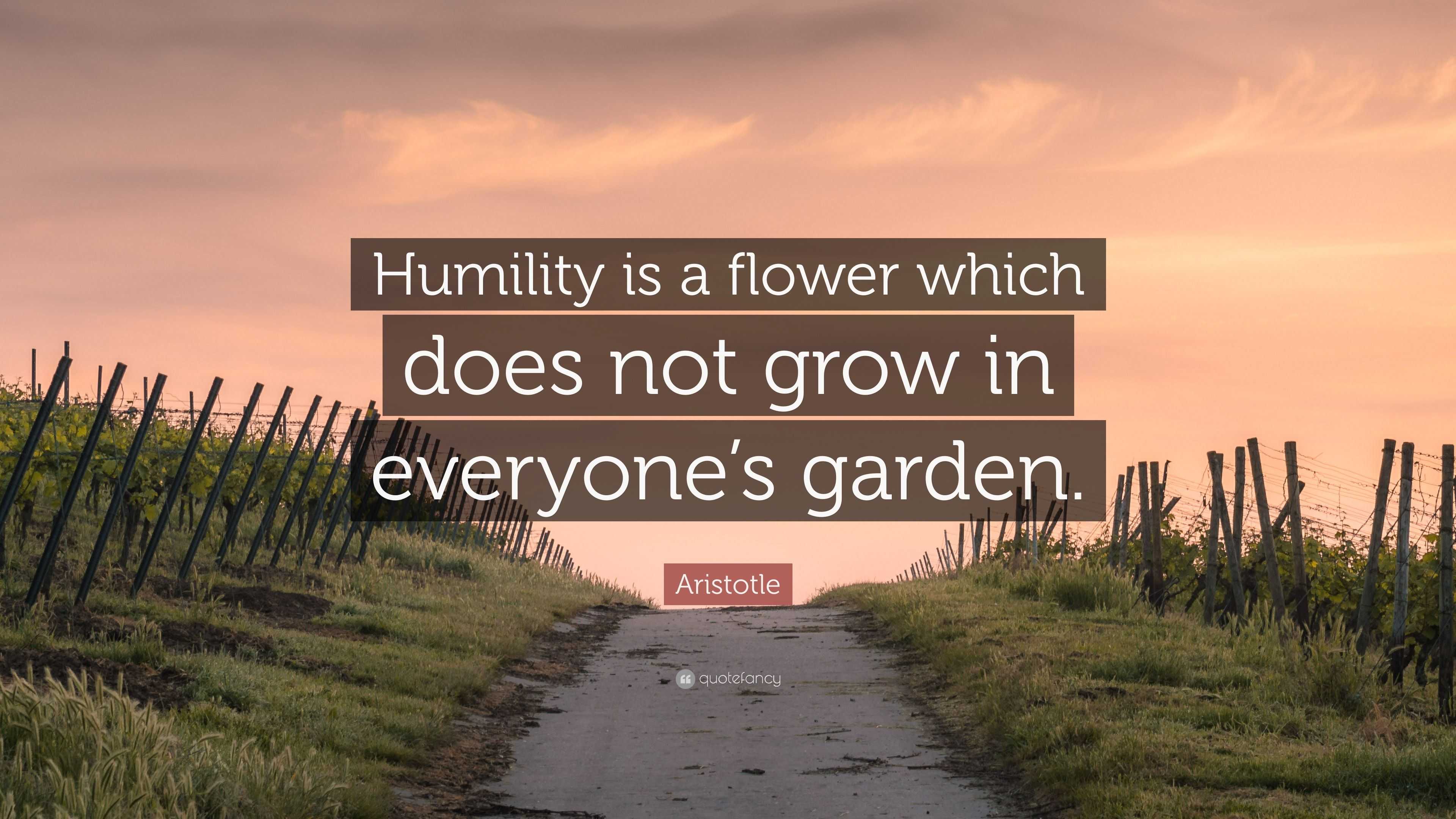 Aristotle Quote: “Humility is a flower which does not grow in everyone ...