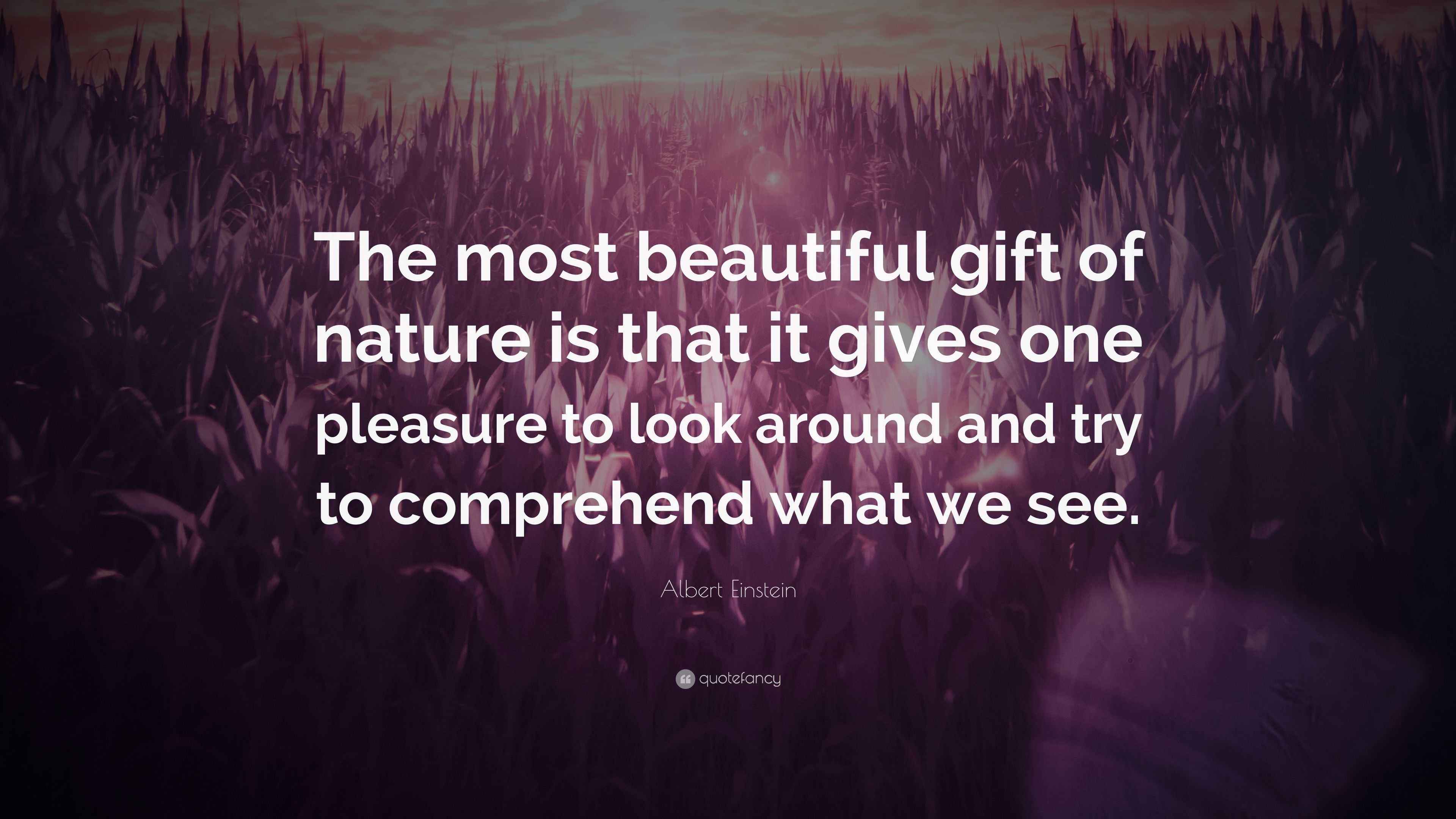 Albert Einstein Quote: “The most beautiful gift of nature is that it ...