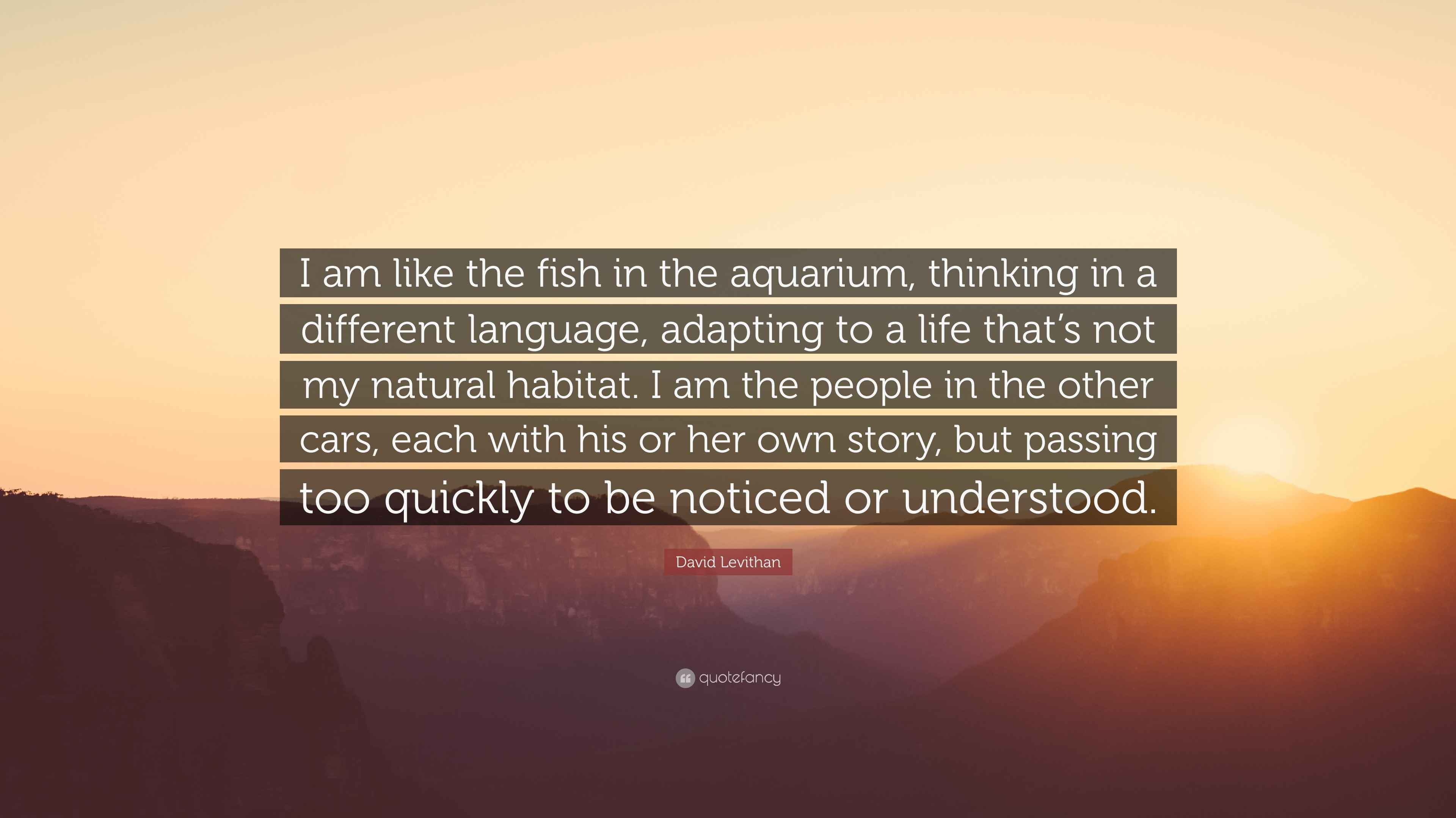 David Levithan Quote: “I am like the fish in the aquarium, thinking in ...