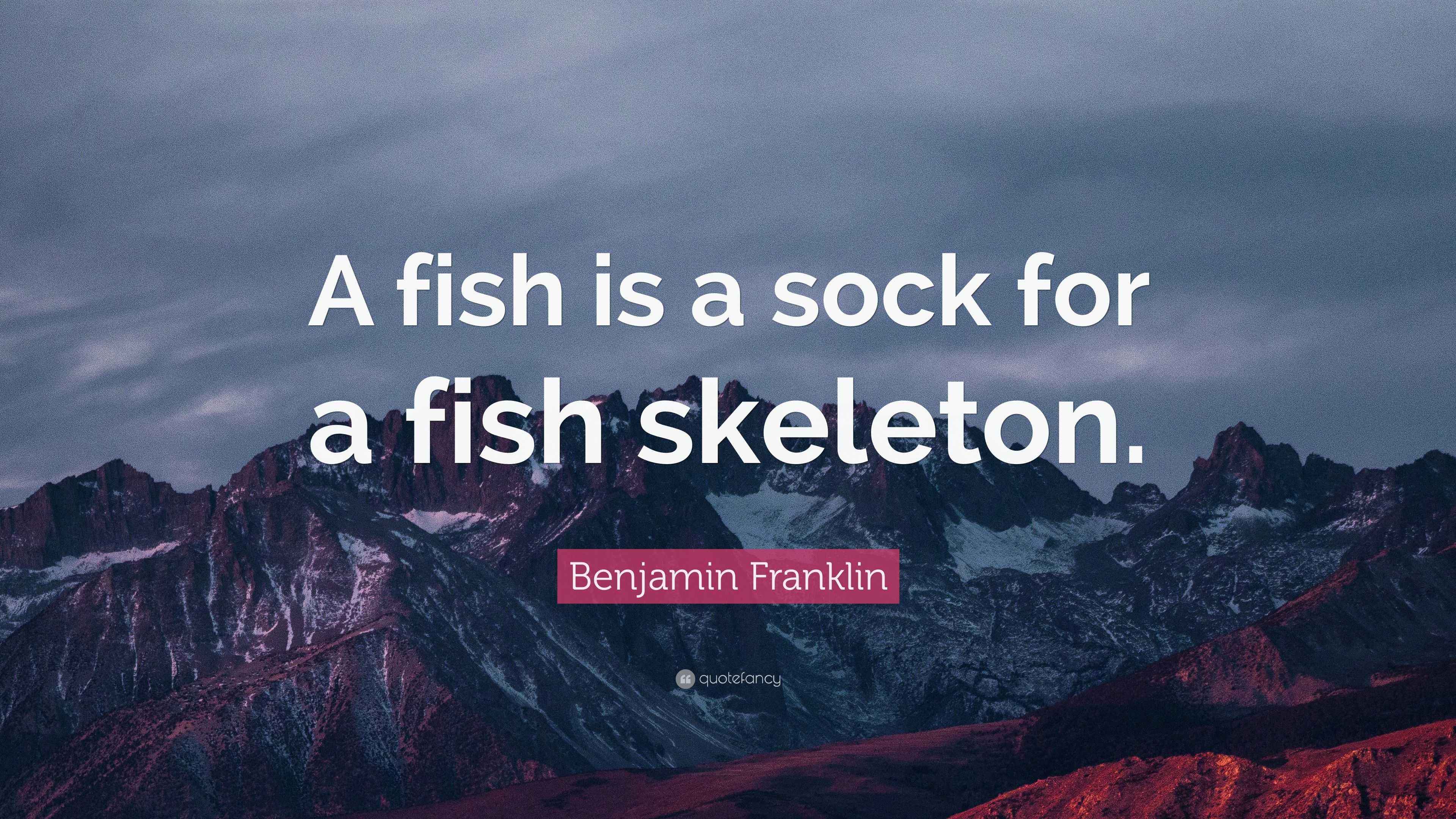 Benjamin Franklin Quote: “A fish is a sock for a fish skeleton.”