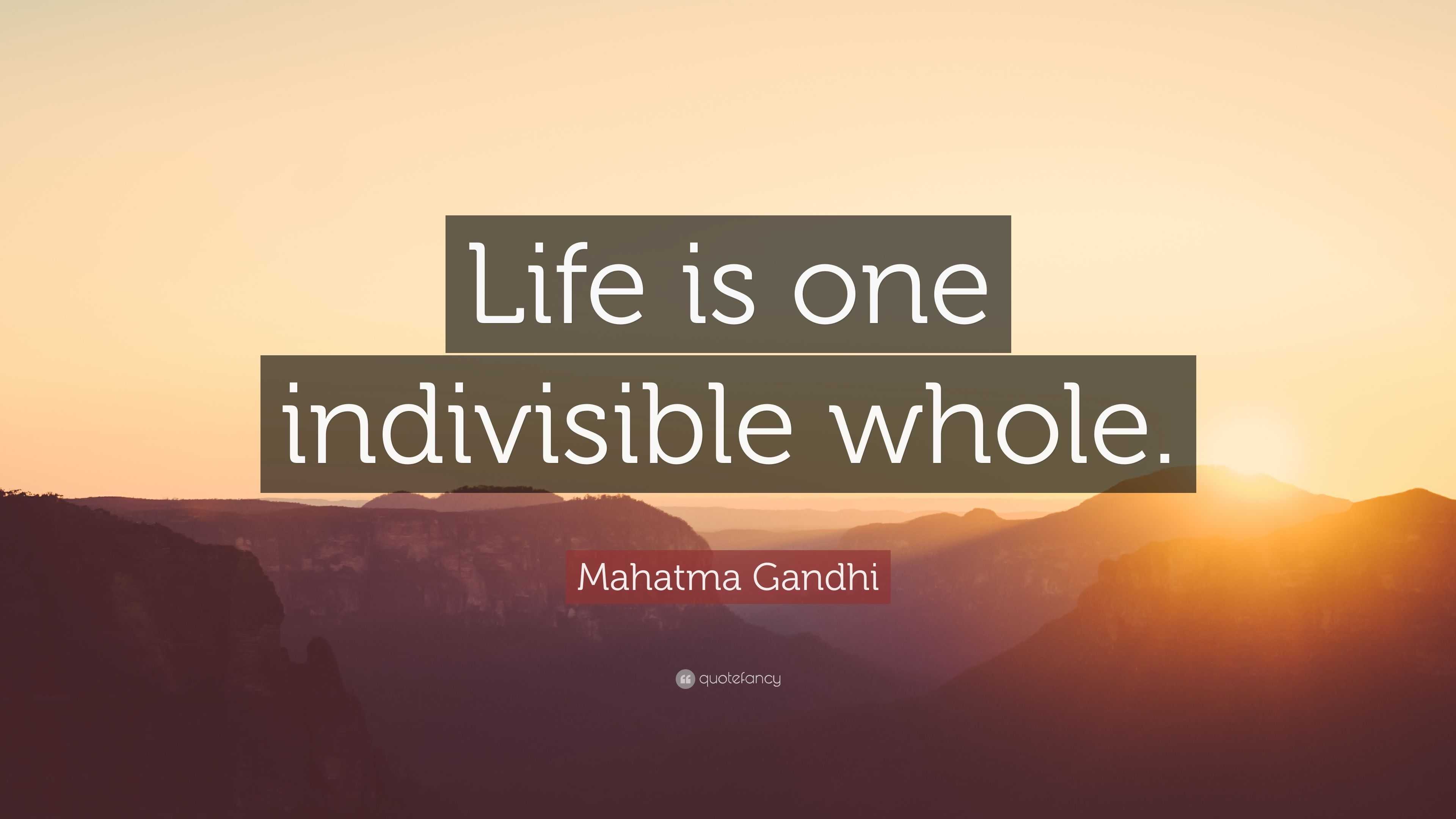 Mahatma Gandhi Quote: “Life is one indivisible whole.”