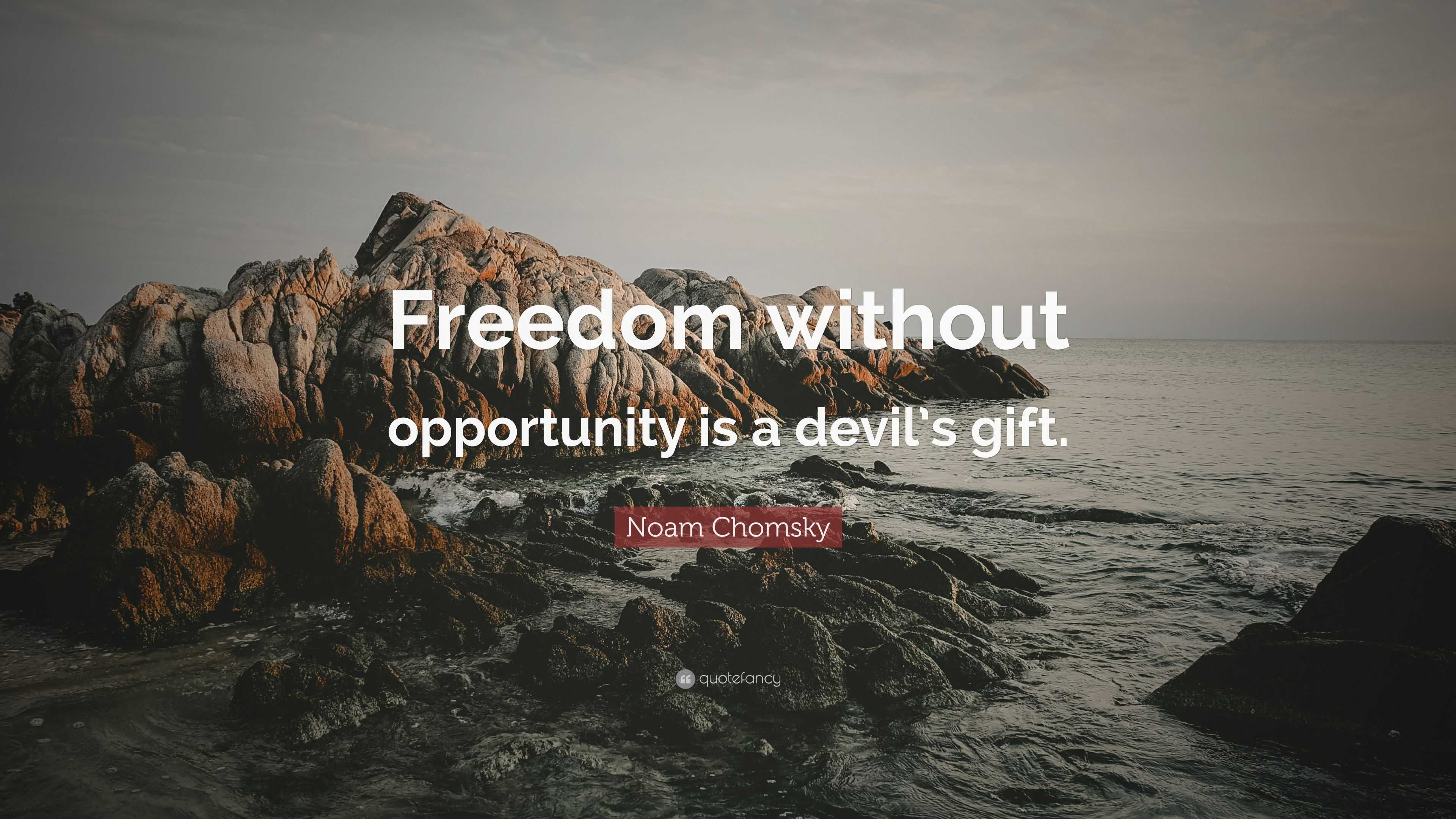 Noam Chomsky Quote: “Freedom without opportunity is a devil’s gift.”