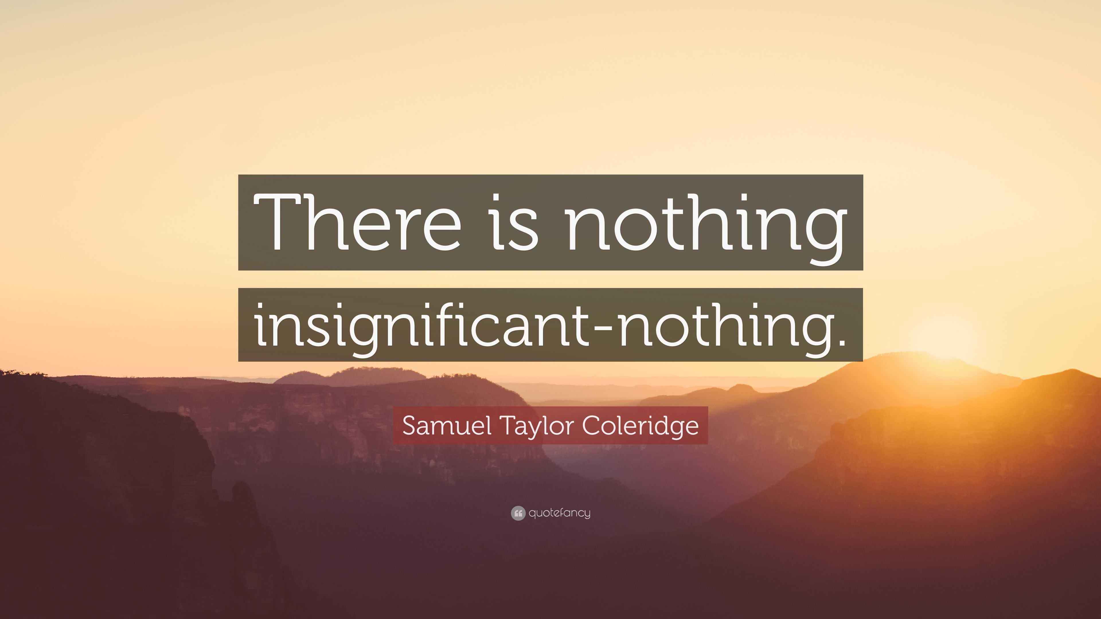 Samuel Taylor Coleridge Quote: “There is nothing insignificant-nothing.”