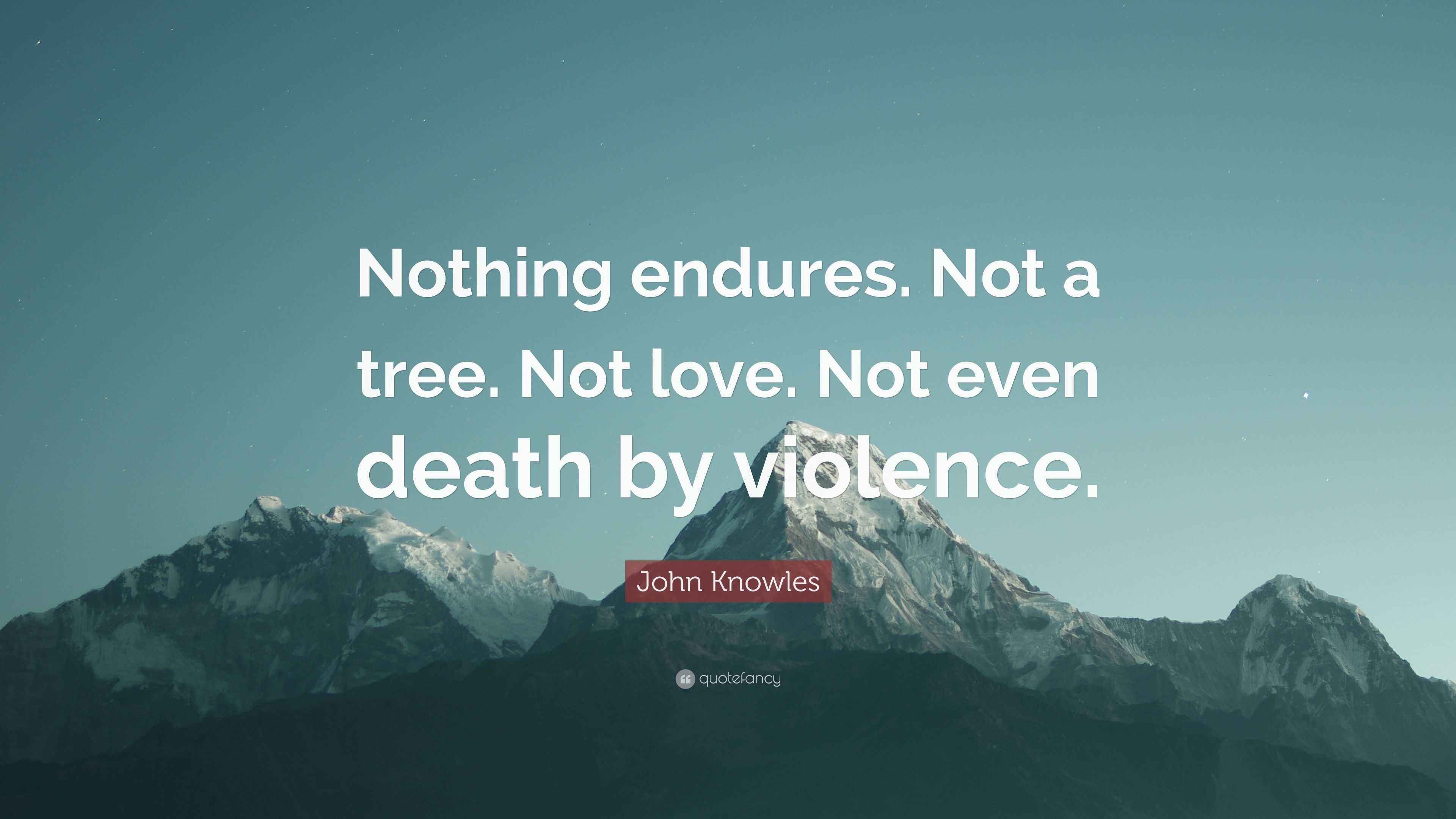 John Knowles Quote: “Nothing endures. Not a tree. Not love. Not even ...