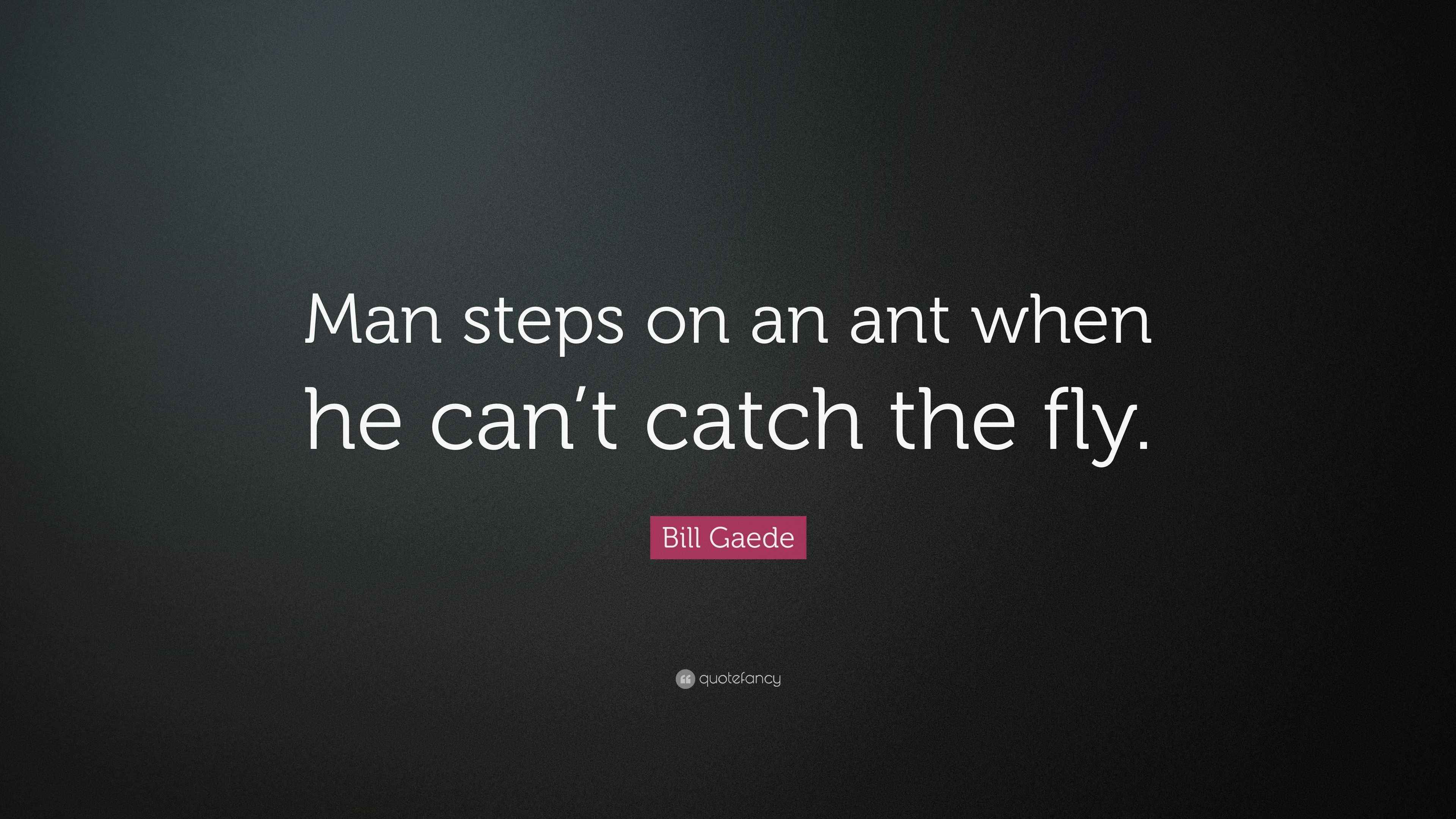 Bill Gaede Quote: “Man steps on an ant when he can’t catch the fly.”