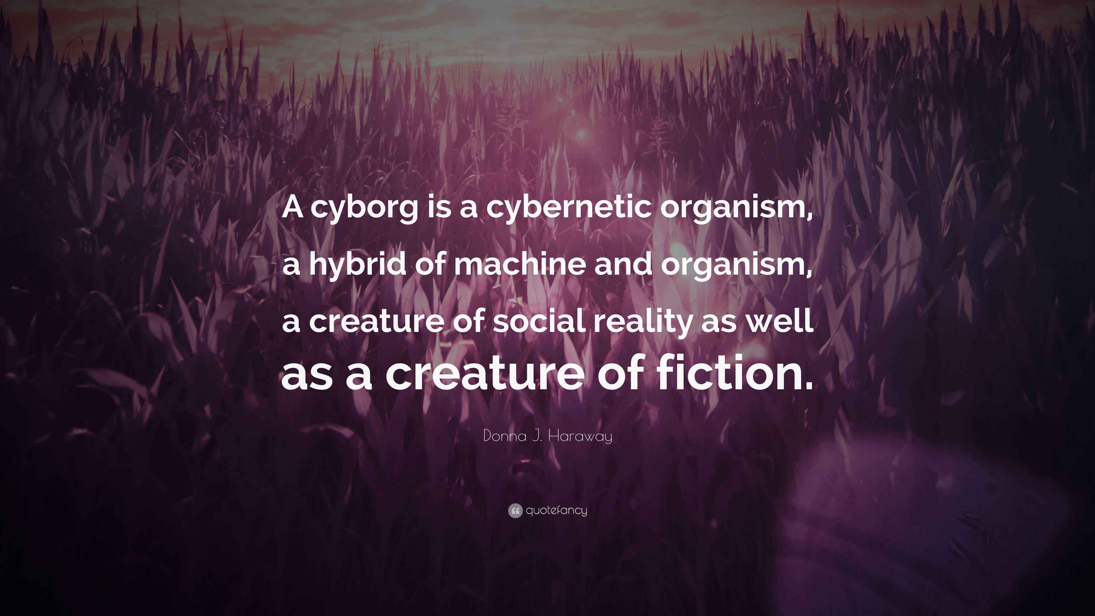 Donna J. Haraway Quote: “A cyborg is a cybernetic organism, a hybrid of ...