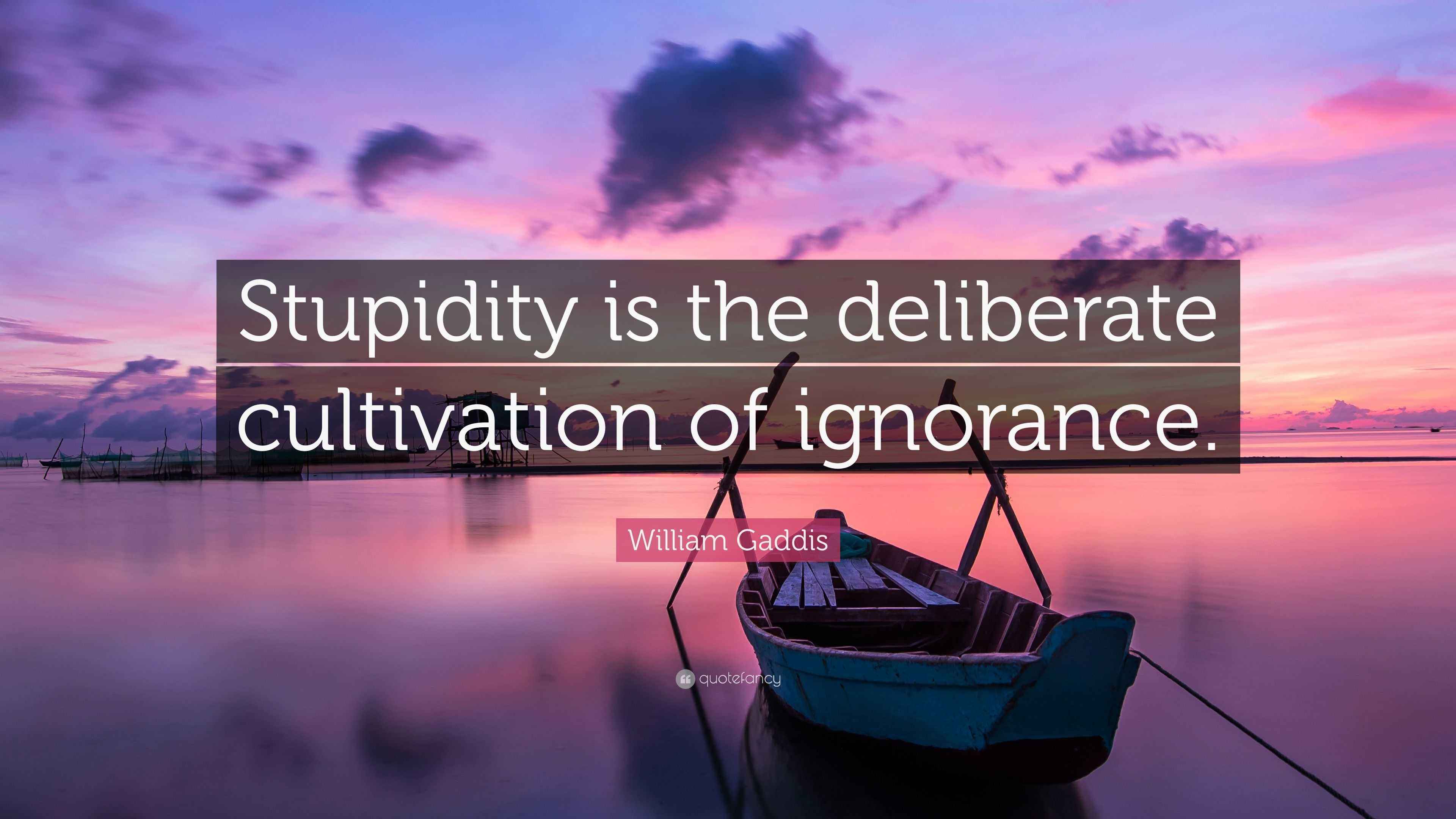 William Gaddis Quote: “Stupidity is the deliberate cultivation of ...