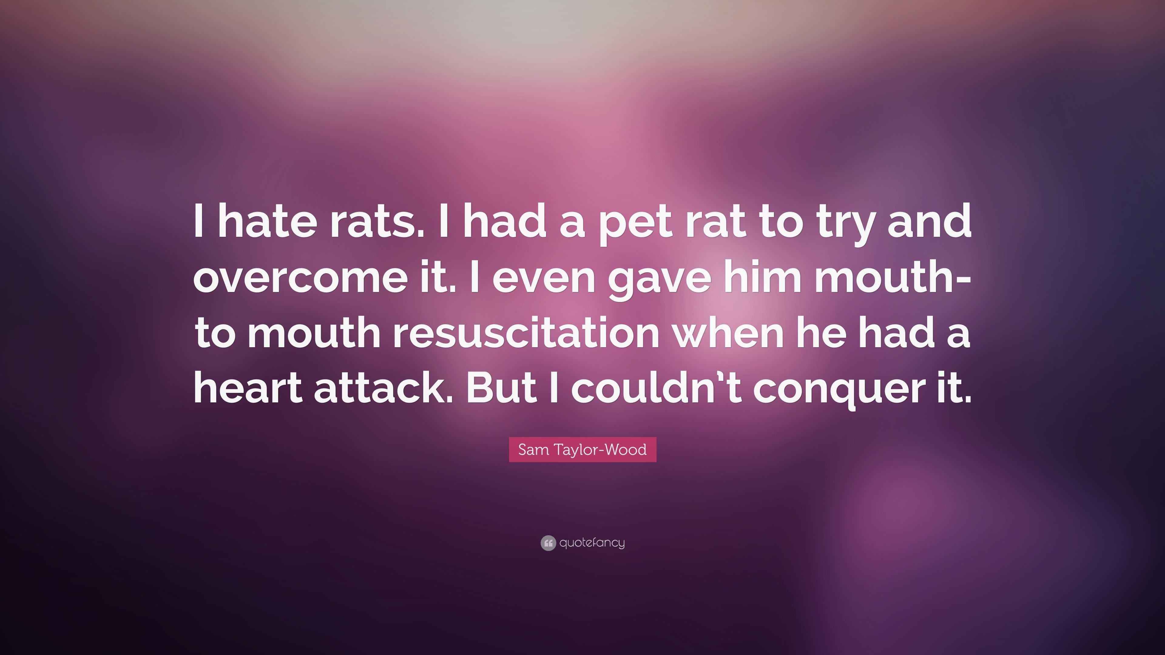 Sam Taylor-Wood Quote: “I hate rats. I had a pet rat to try and ...