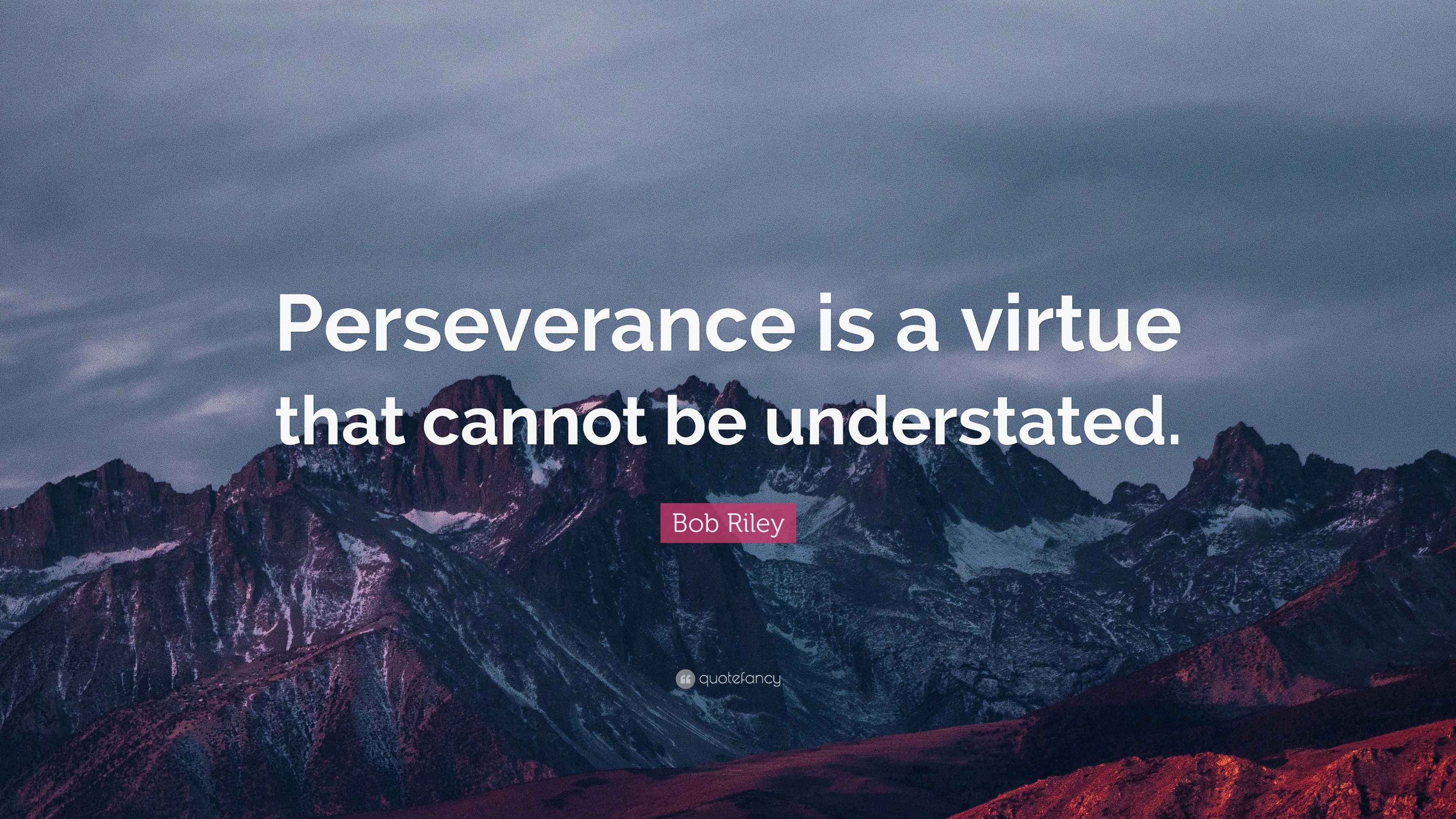 Bob Riley Quote: “Perseverance is a virtue that cannot be understated.”