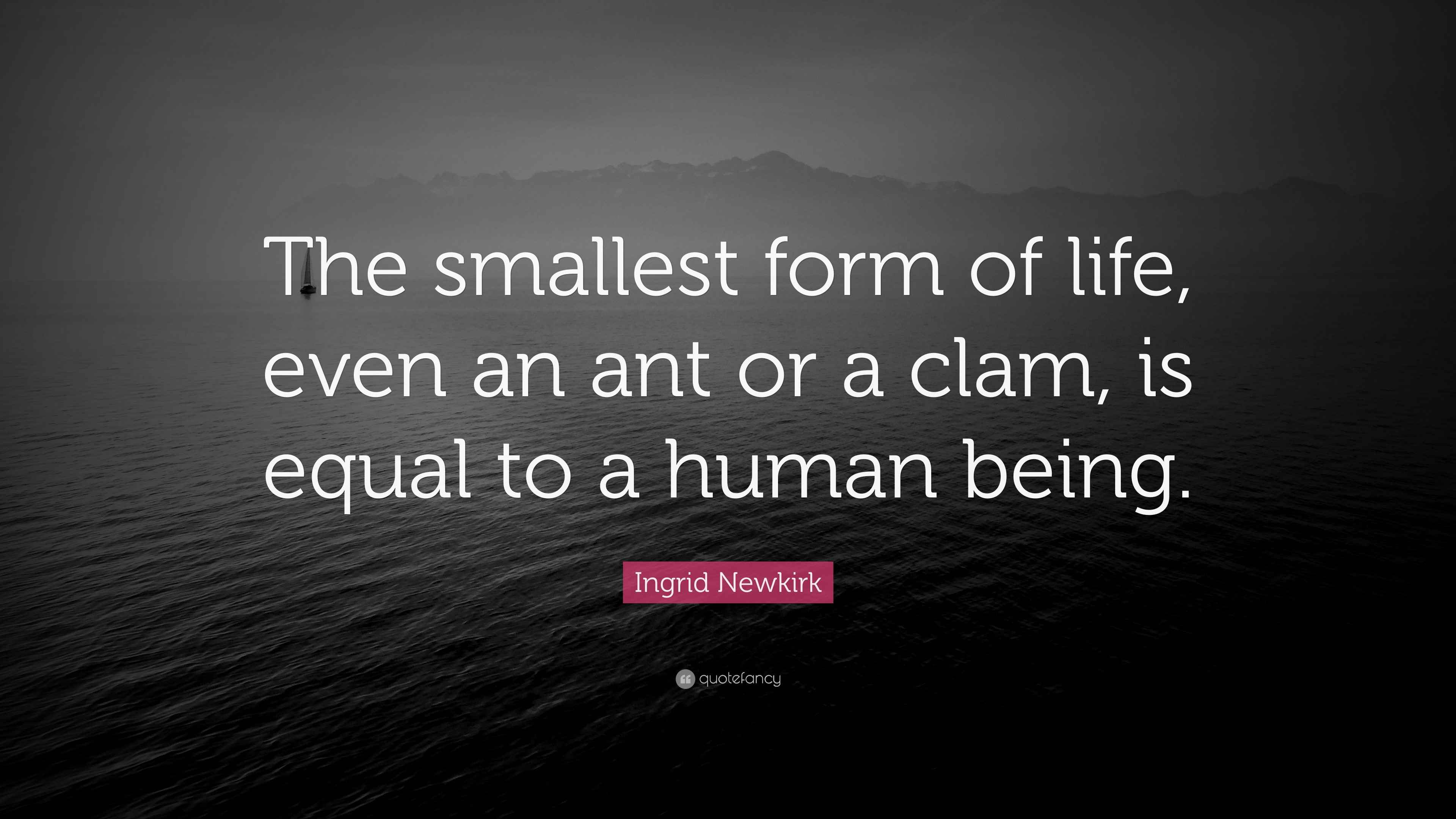 Ingrid Newkirk Quote: “The smallest form of life, even an ant or a clam ...