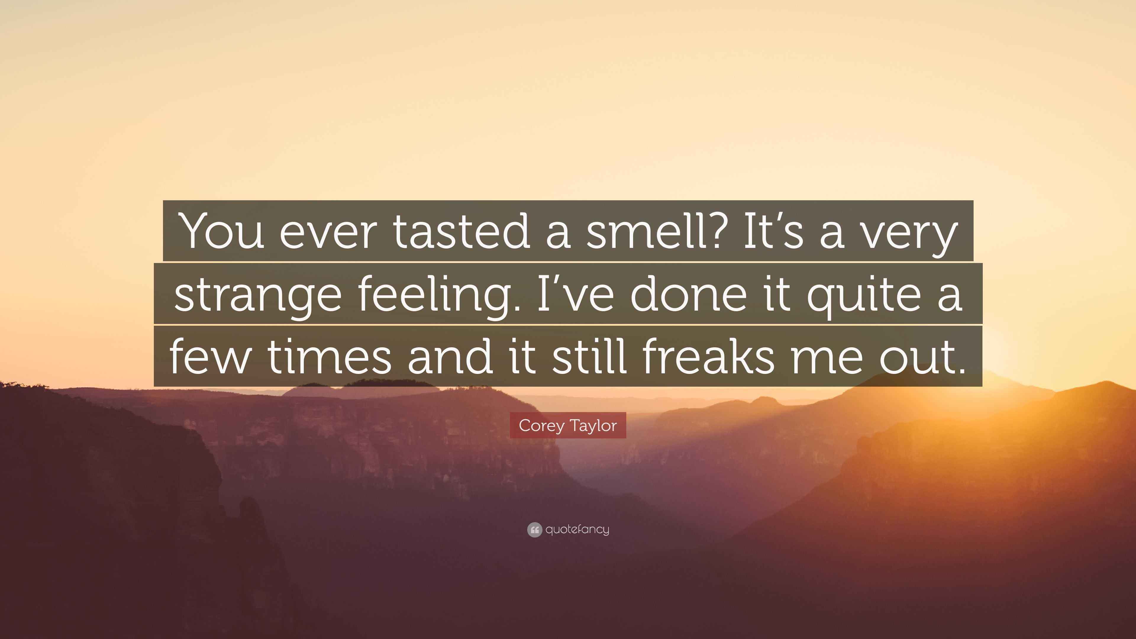 Corey Taylor Quote: “You ever tasted a smell? It’s a very strange ...