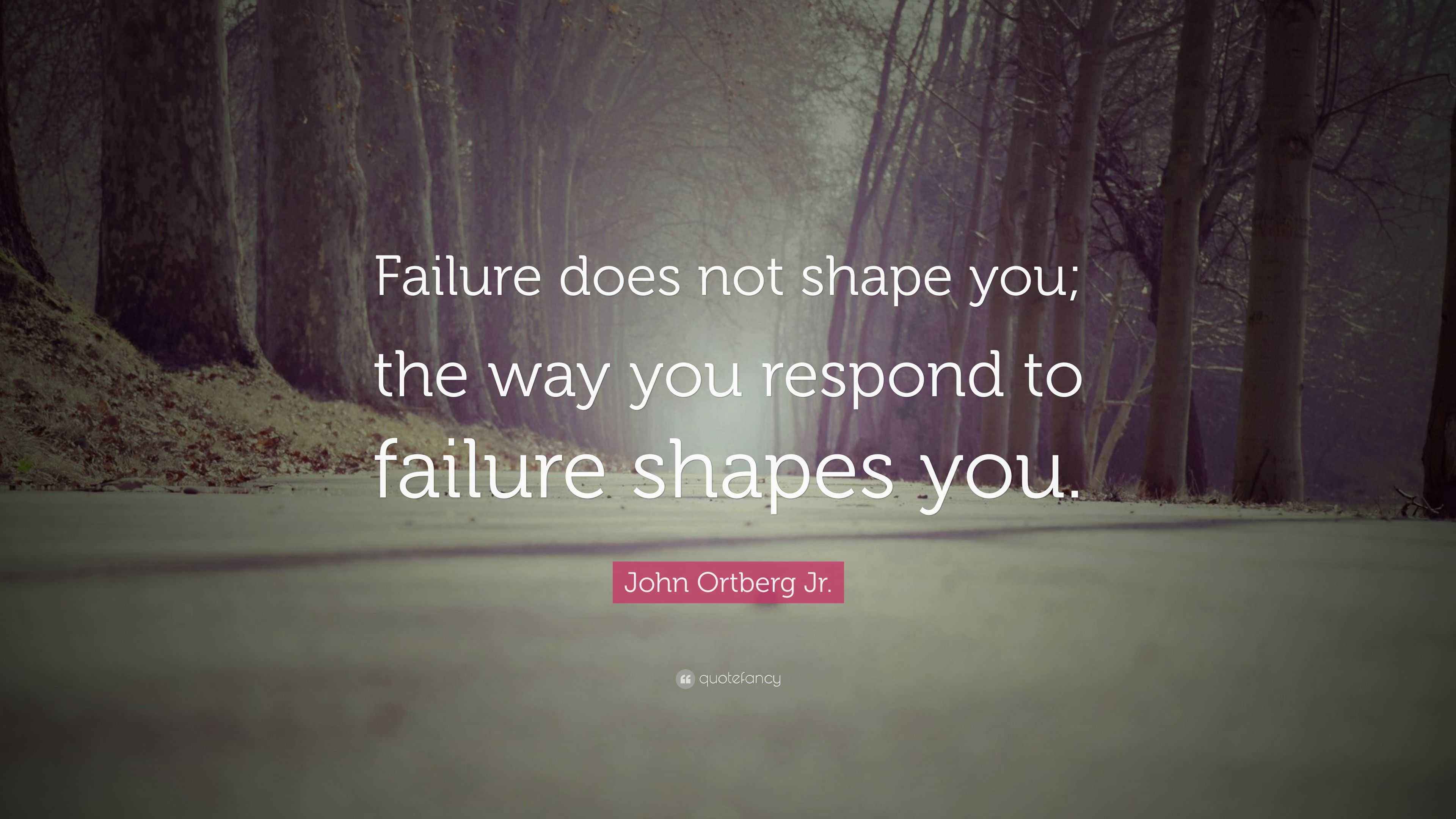 John Ortberg Jr. Quote: “Failure does not shape you; the way you ...
