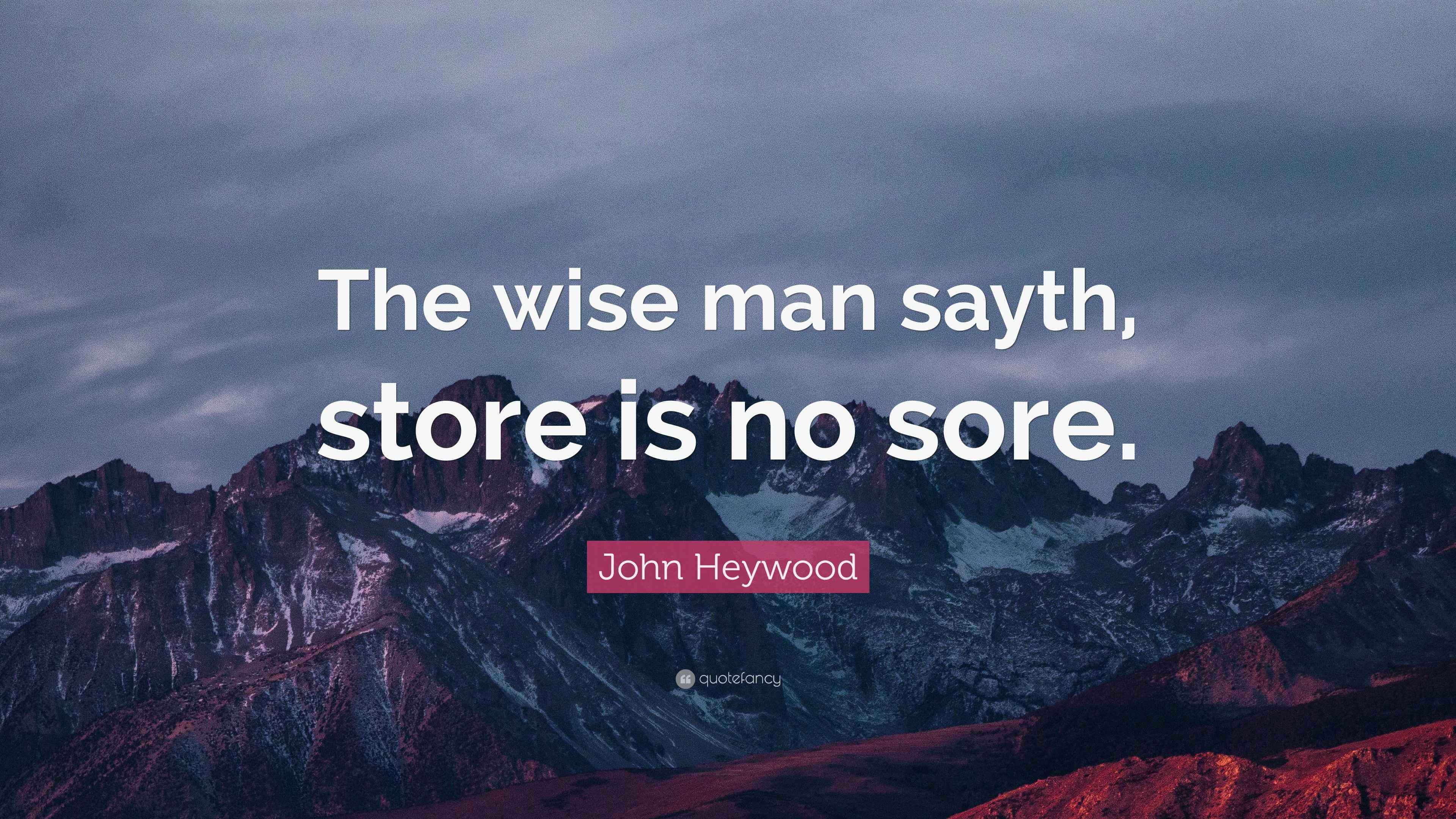 John Heywood Quote: “The wise man sayth, store is no sore.”