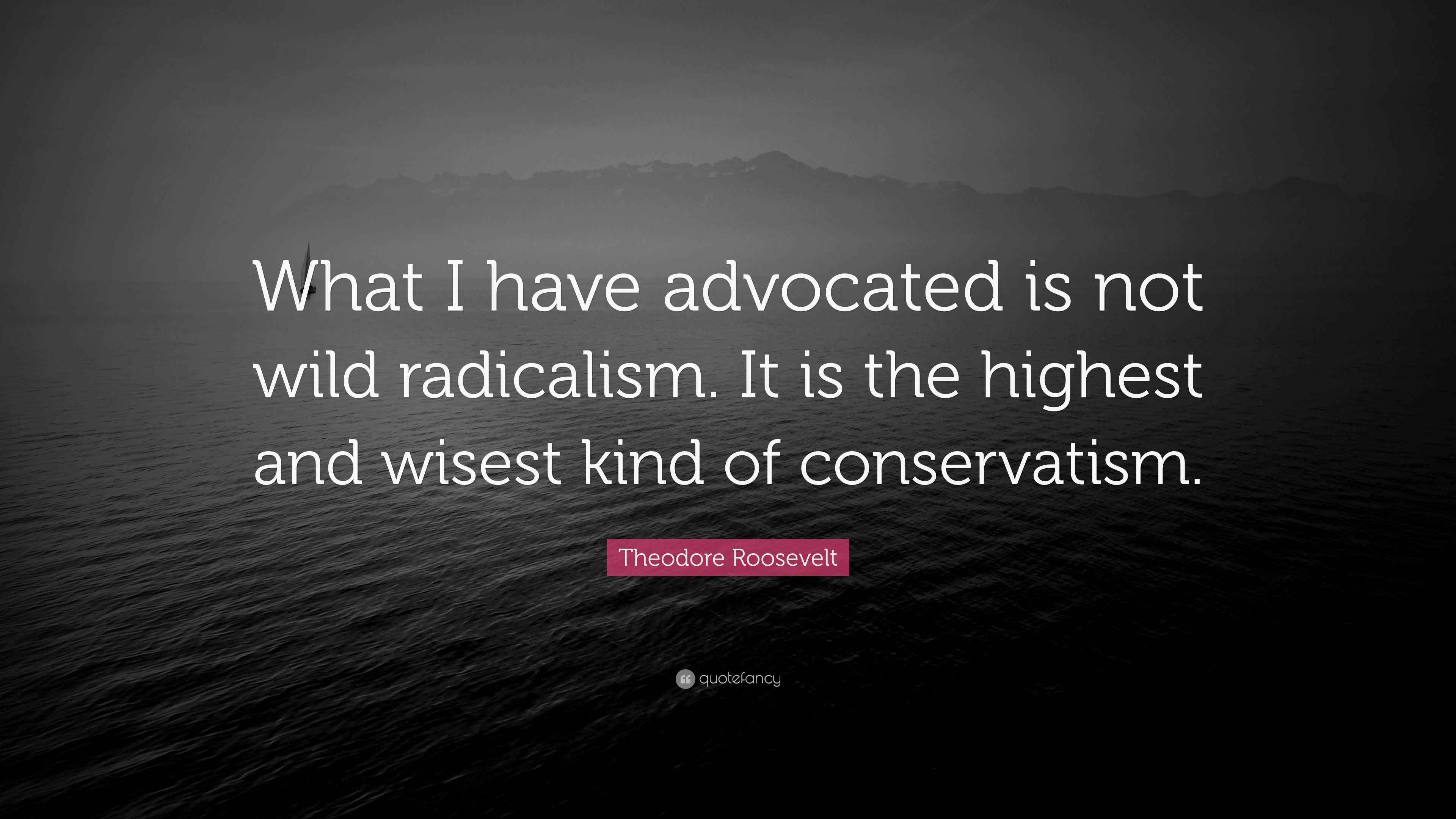 Theodore Roosevelt Quote: “What I have advocated is not wild radicalism ...