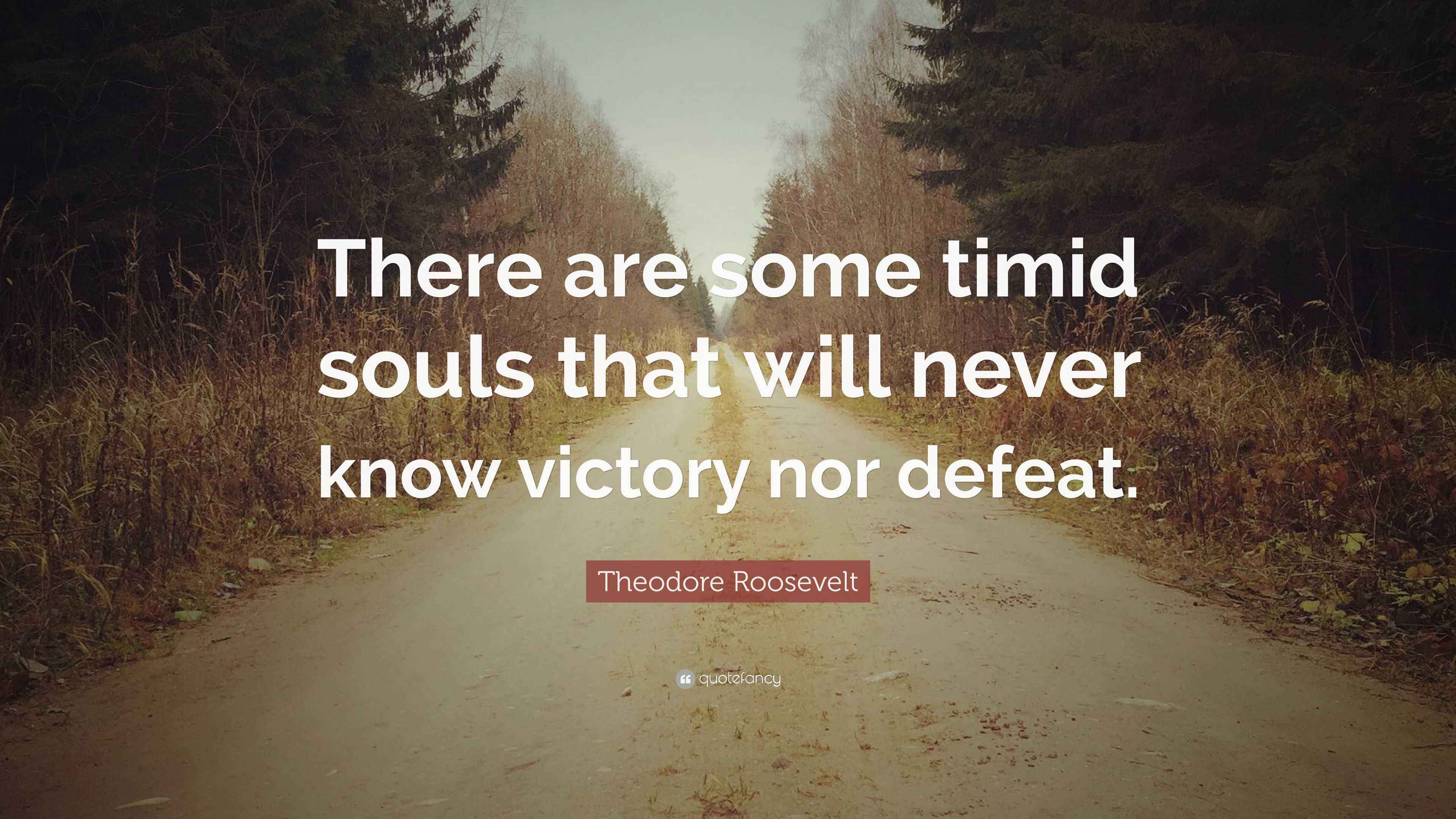 Theodore Roosevelt Quote: “There are some timid souls that will never ...