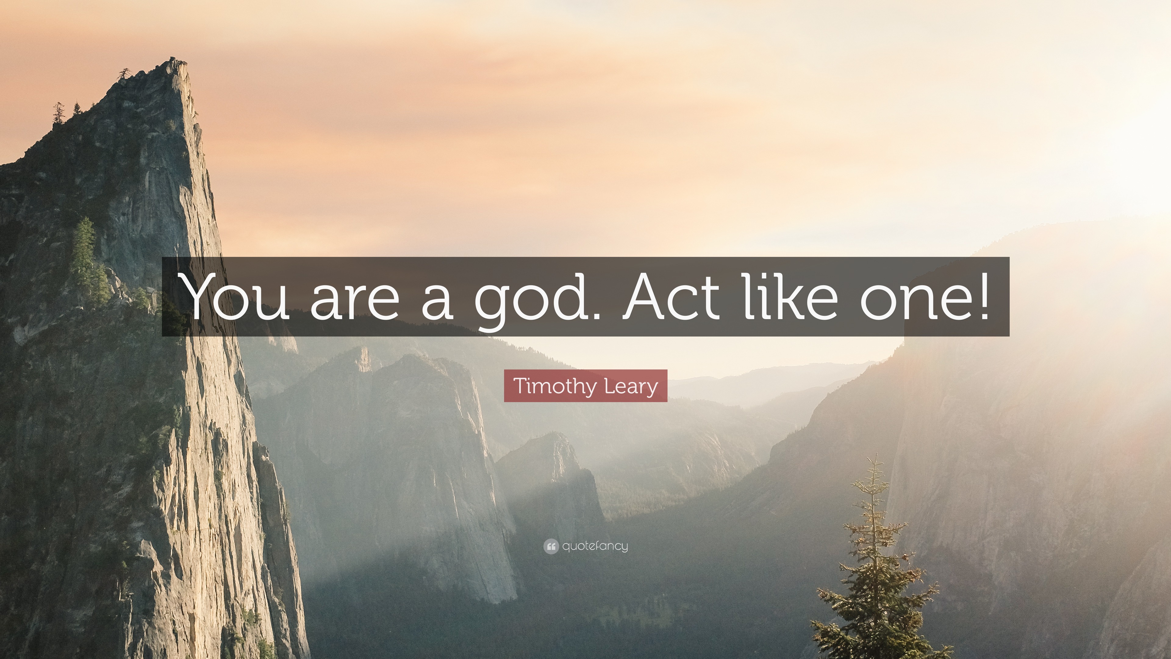 Timothy Leary Quote: “You are a god. Act like one!”