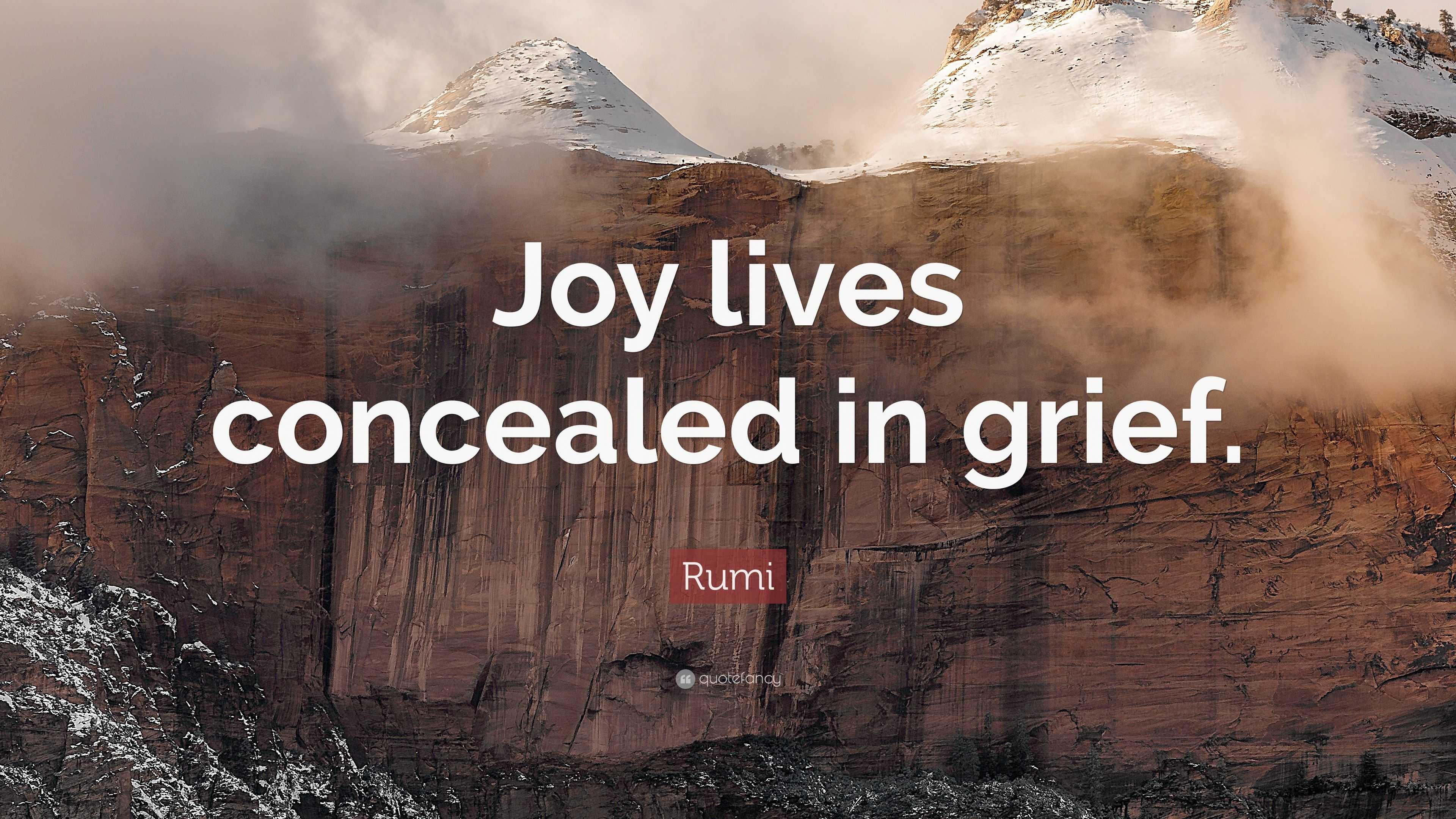 Rumi Quote: “Joy lives concealed in grief.”