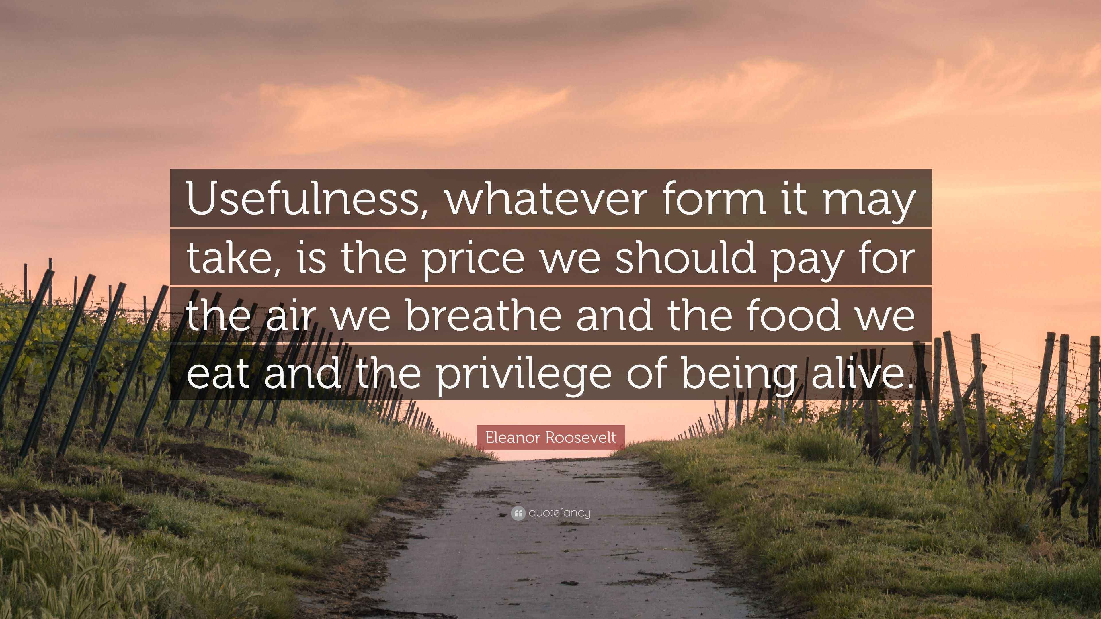 Eleanor Roosevelt Quote: “Usefulness, whatever form it may take, is the ...
