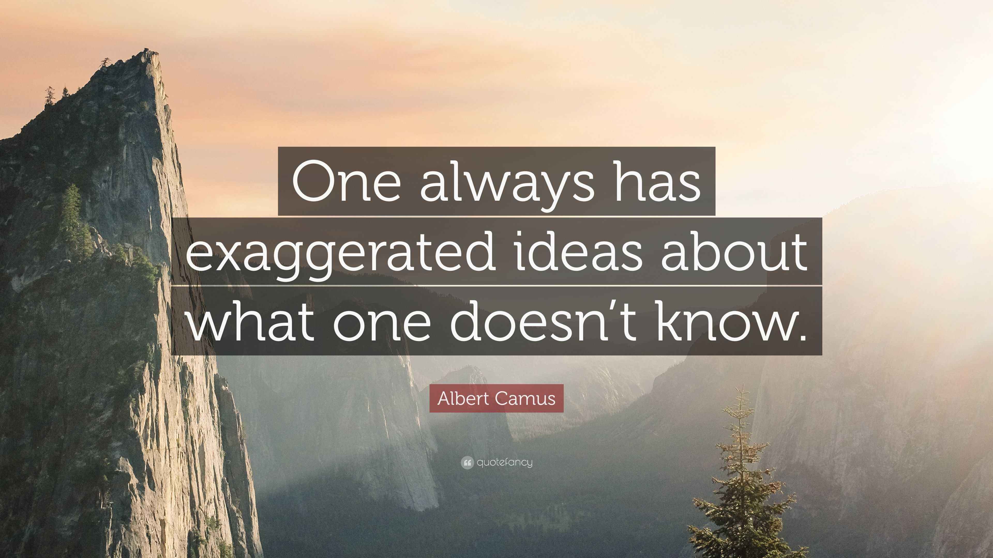 Albert Camus Quote: “One always has exaggerated ideas about what one ...