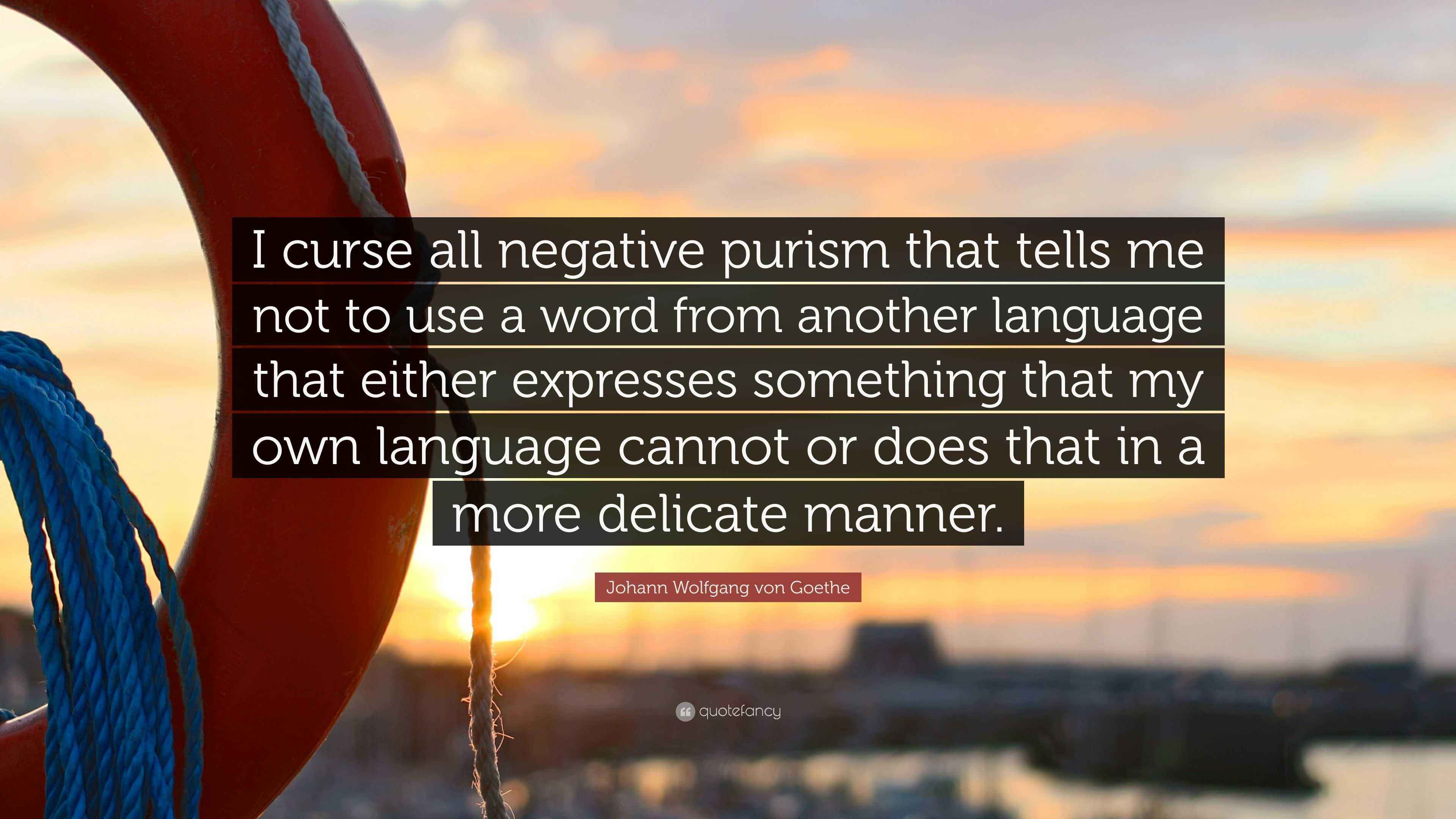 Johann Wolfgang von Goethe Quote: “I curse all negative purism that ...