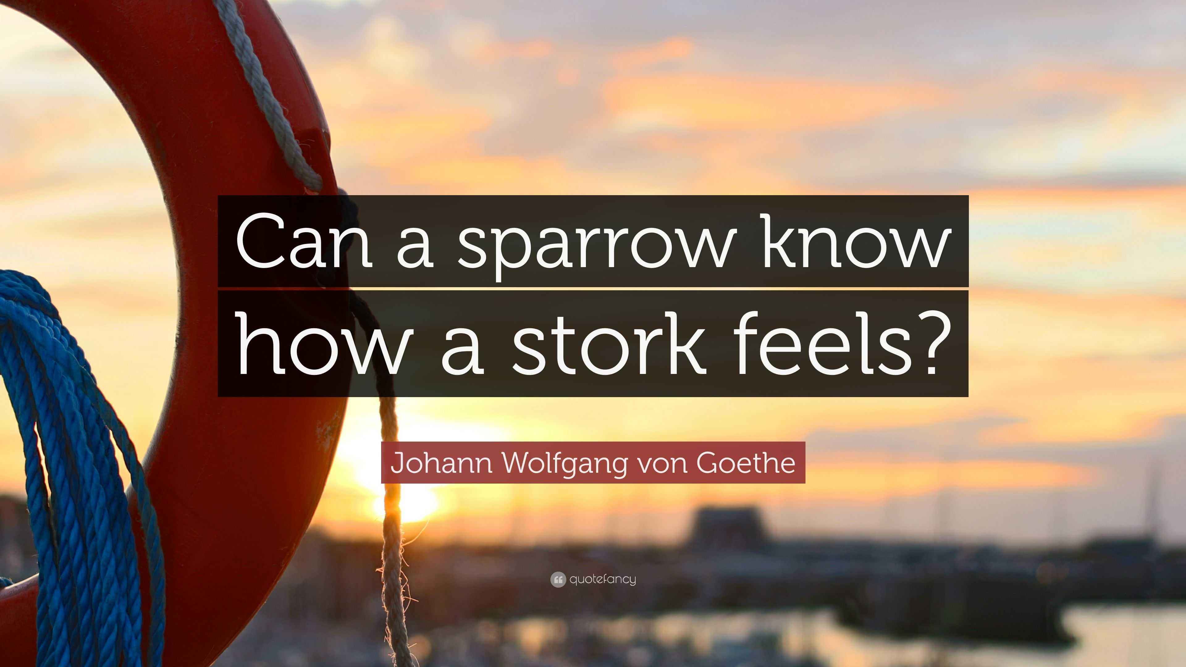 Johann Wolfgang von Goethe Quote: “Can a sparrow know how a stork feels?”