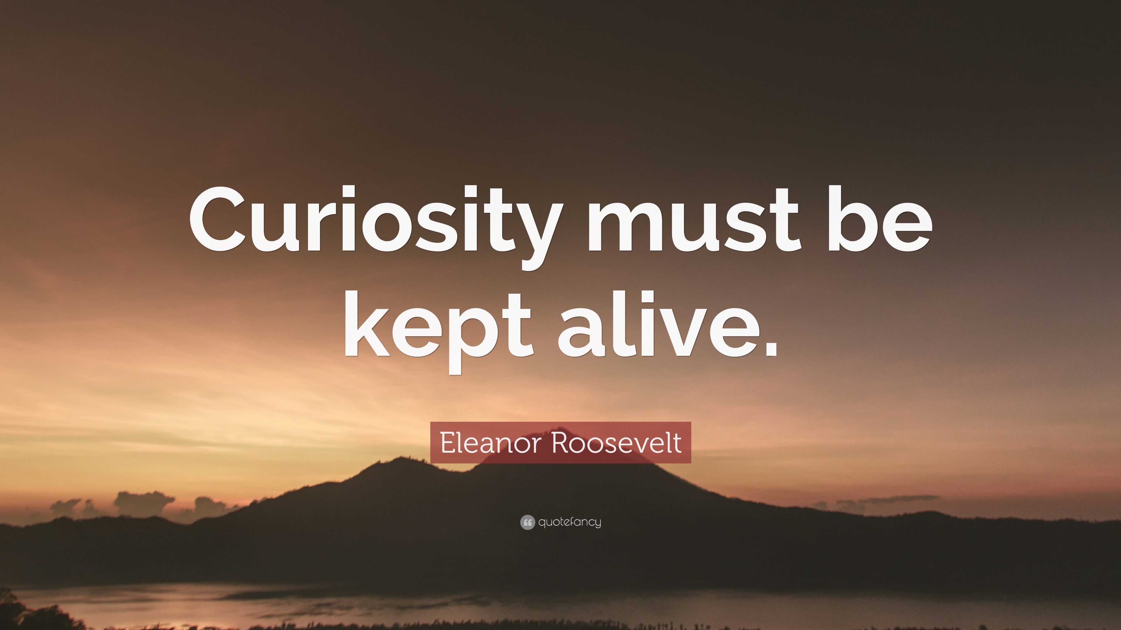 Eleanor Roosevelt Quote: “Curiosity must be kept alive.”