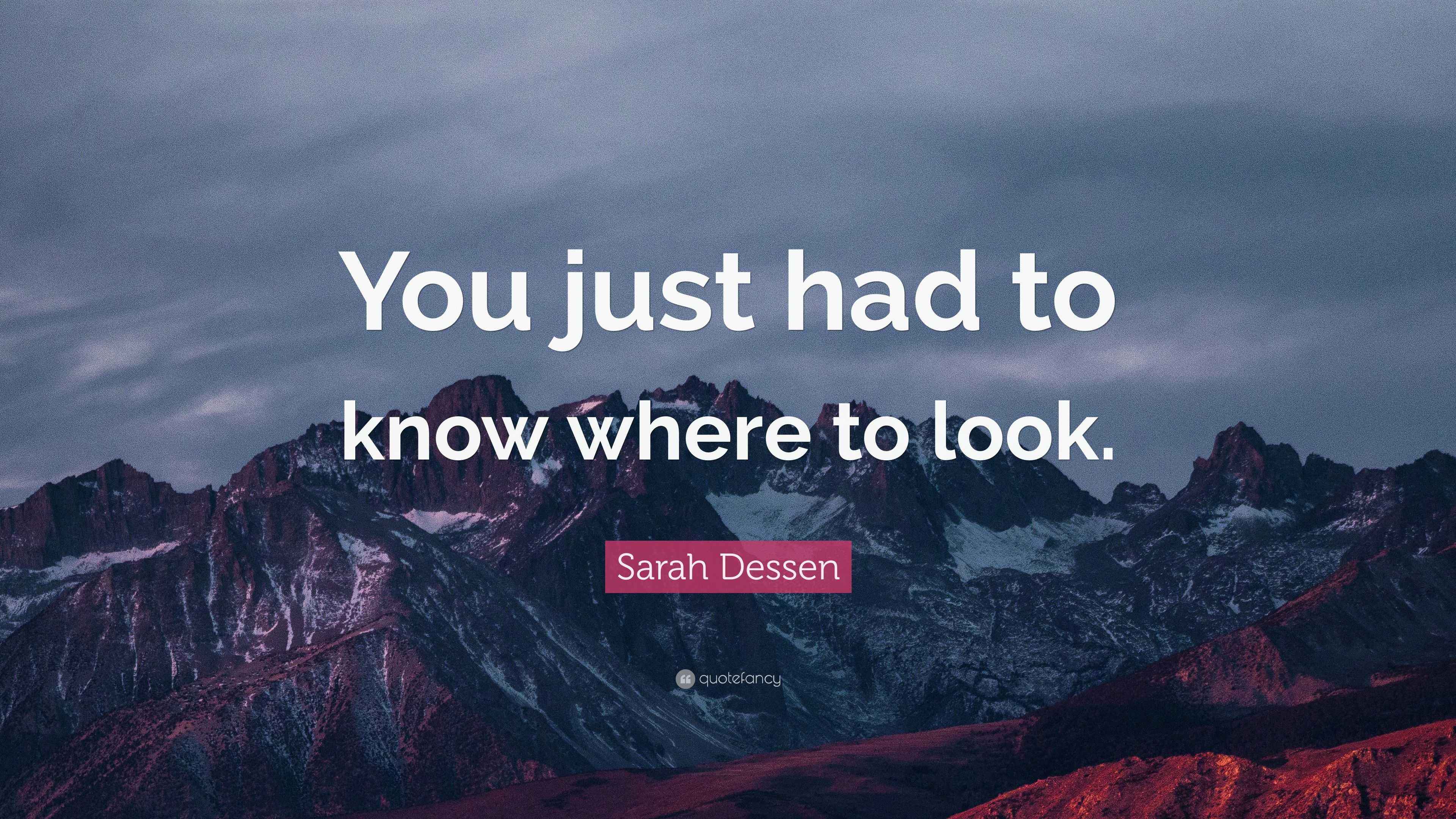 Sarah Dessen Quote: “You just had to know where to look.”