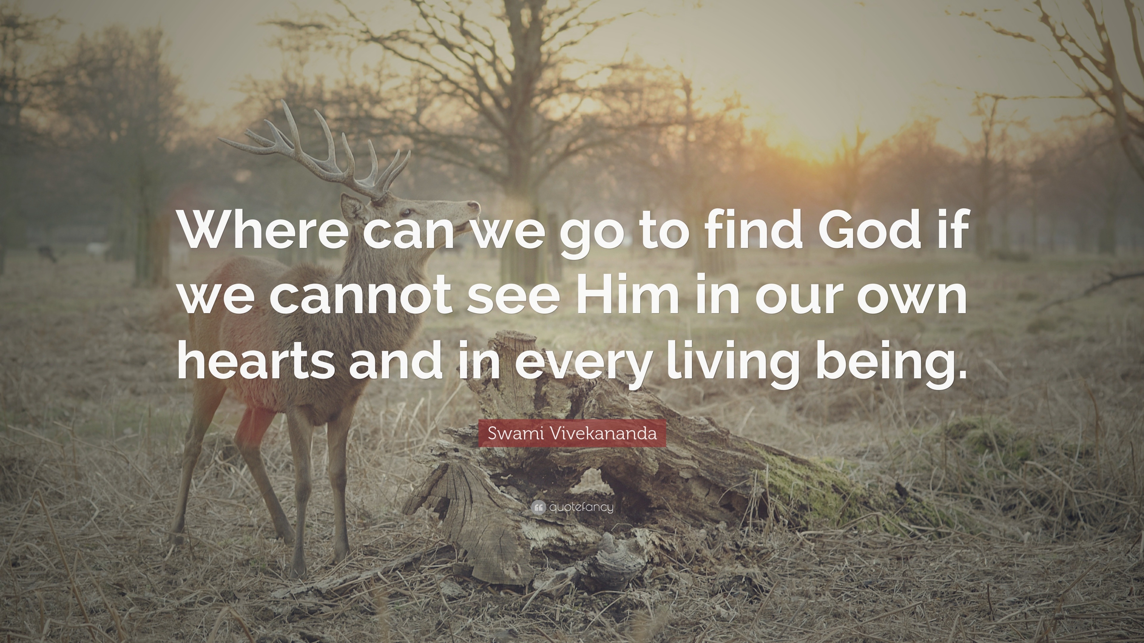 Swami Vivekananda Quote: “Where can we go to find God if we cannot see ...