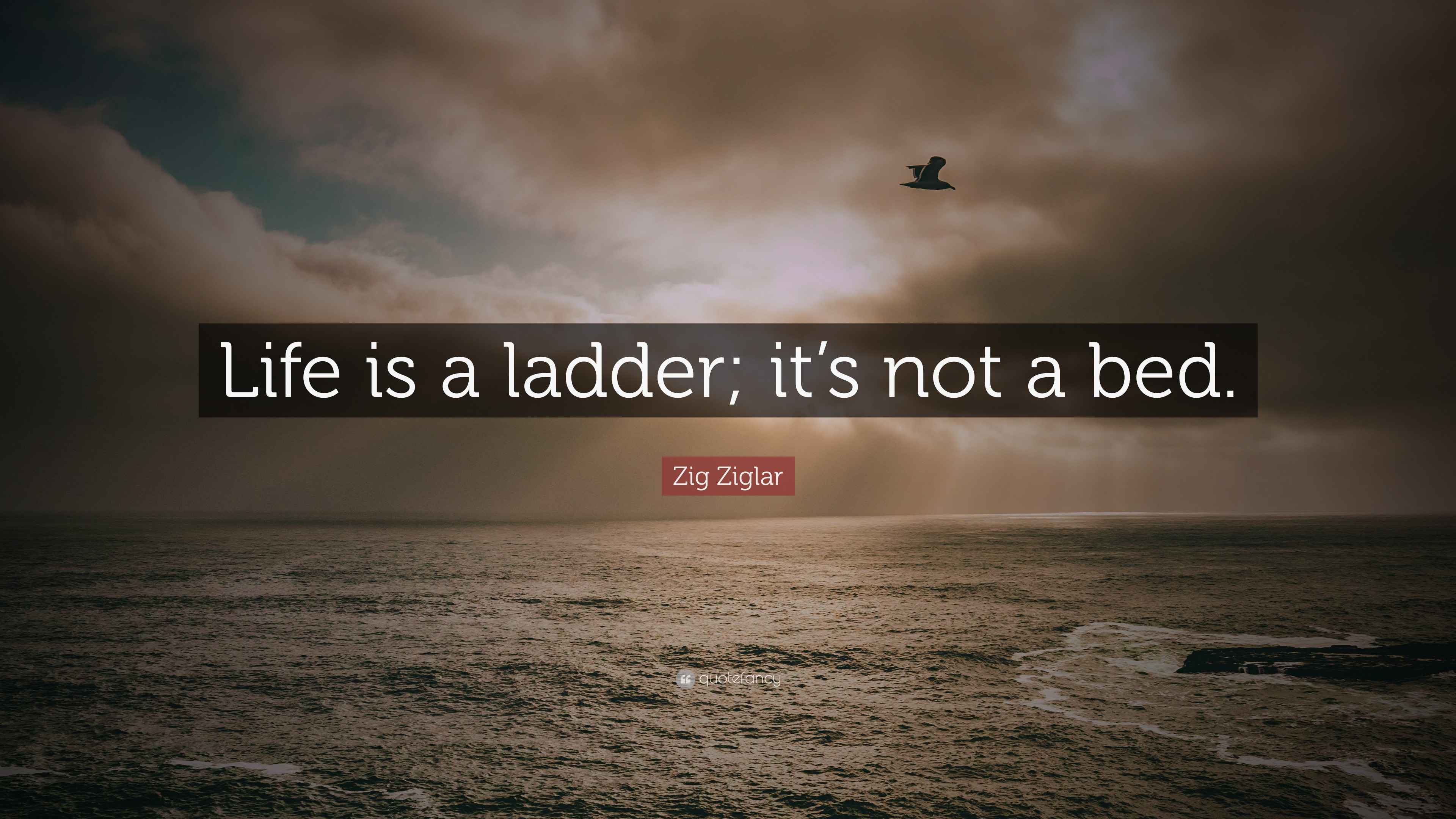 Zig Ziglar Quote: “Life is a ladder; it’s not a bed.”