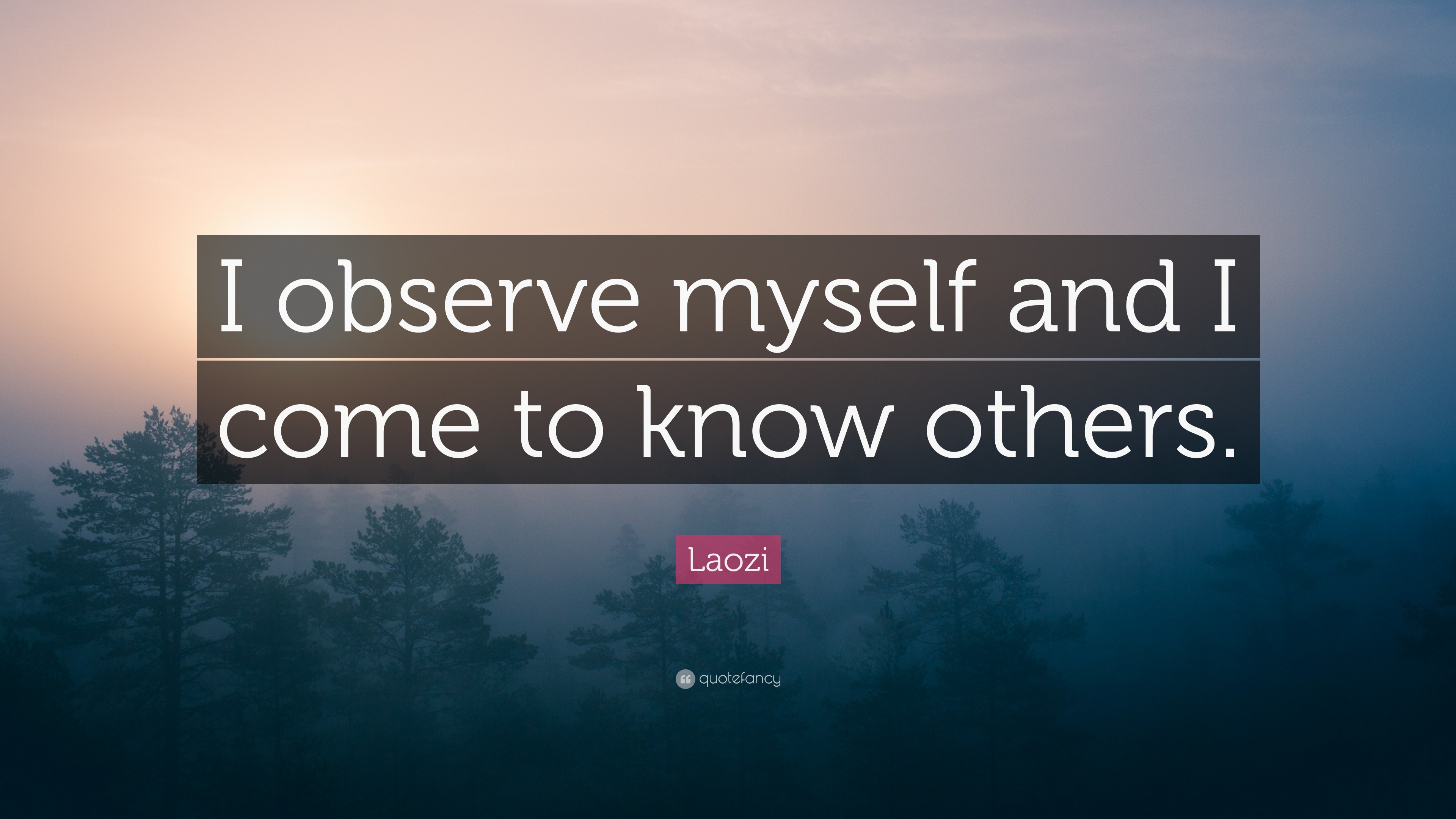 Laozi Quote: “I observe myself and I come to know others.”