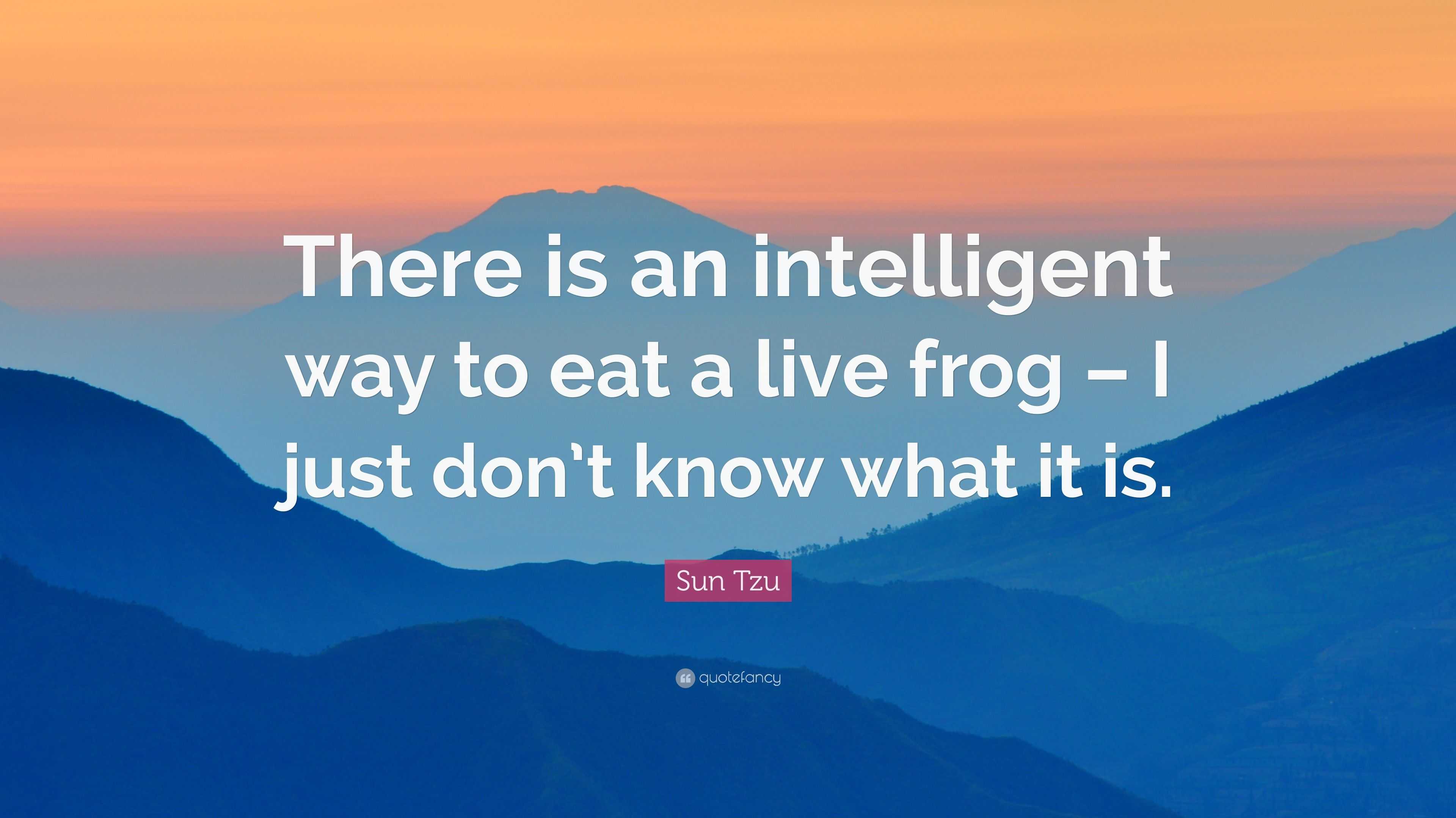 Sun Tzu Quote: “There is an intelligent way to eat a live frog – I just ...