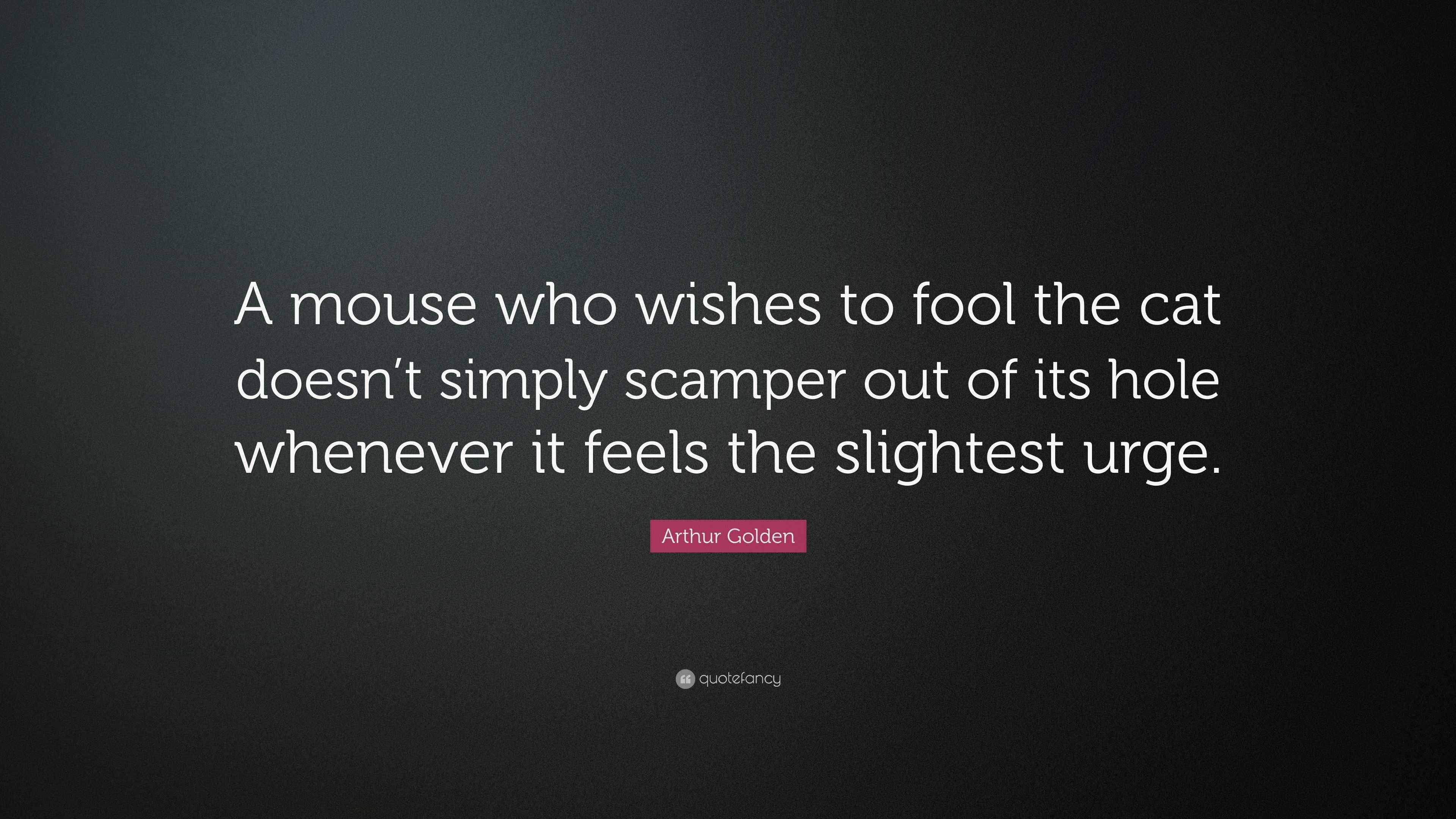 Arthur Golden Quote: “A mouse who wishes to fool the cat doesn’t simply ...