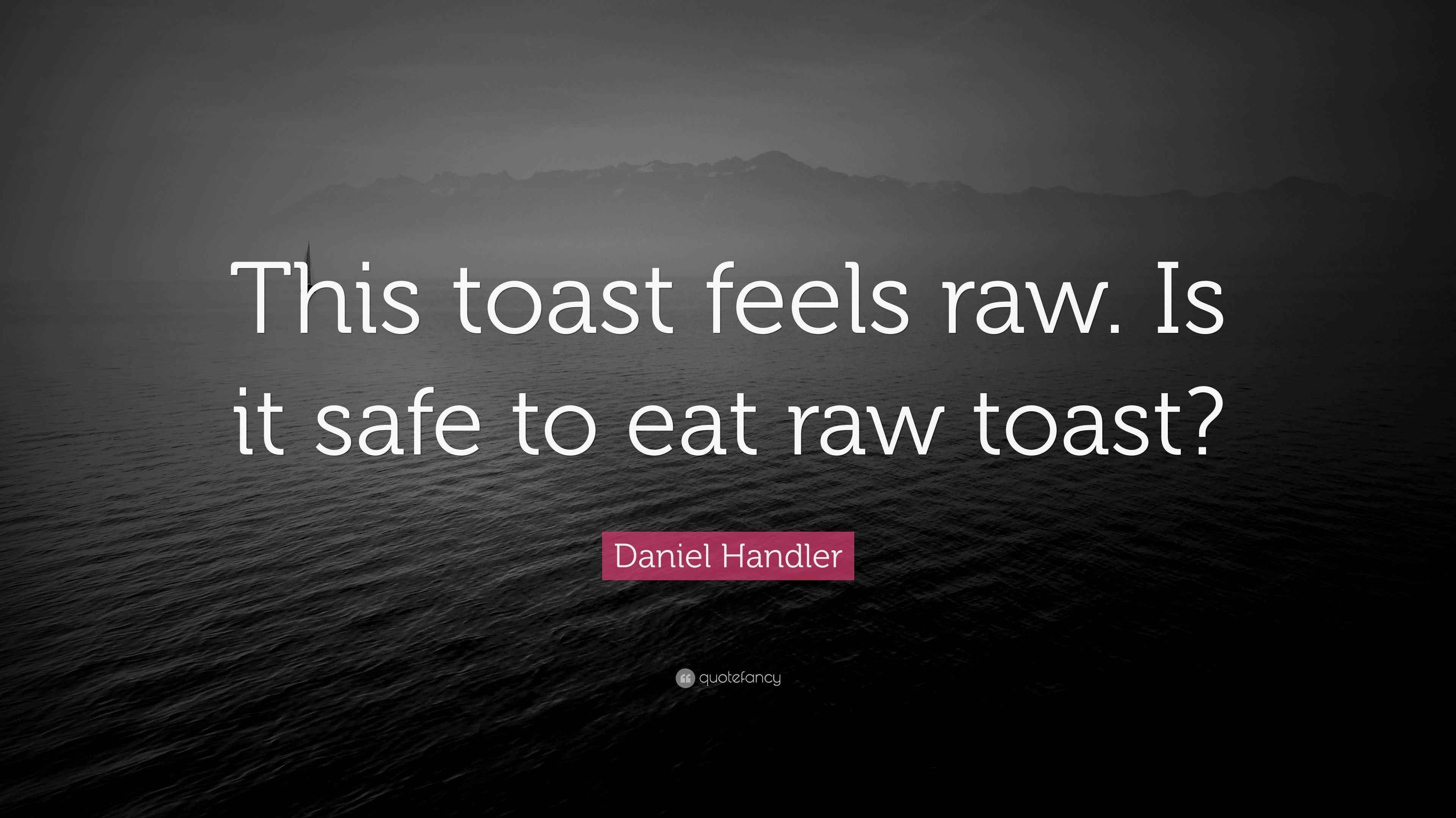 Daniel Handler Quote: “This toast feels raw. Is it safe to eat raw toast?”