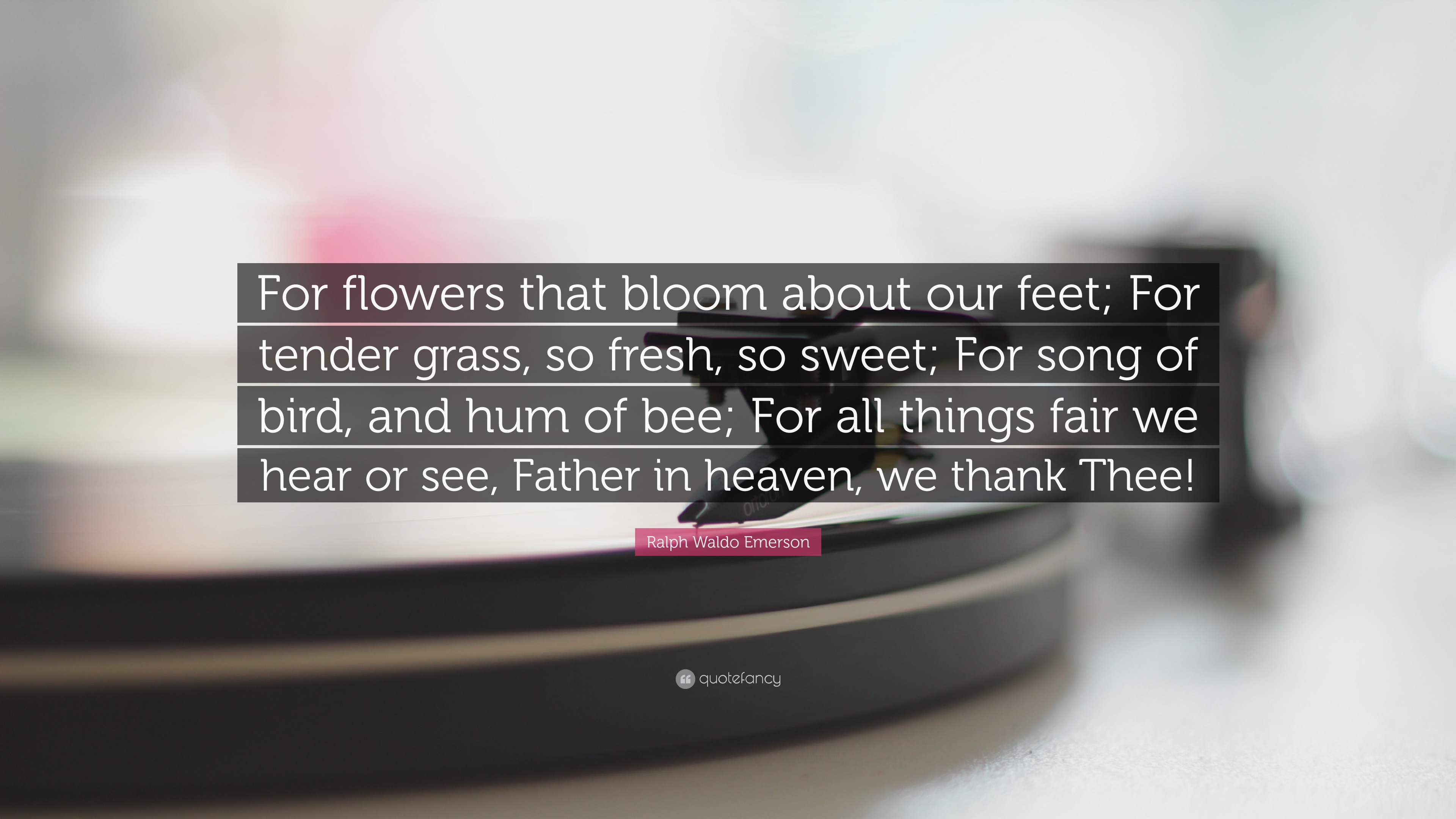 Ralph Waldo Emerson Quote: “For flowers that bloom about our feet; For ...